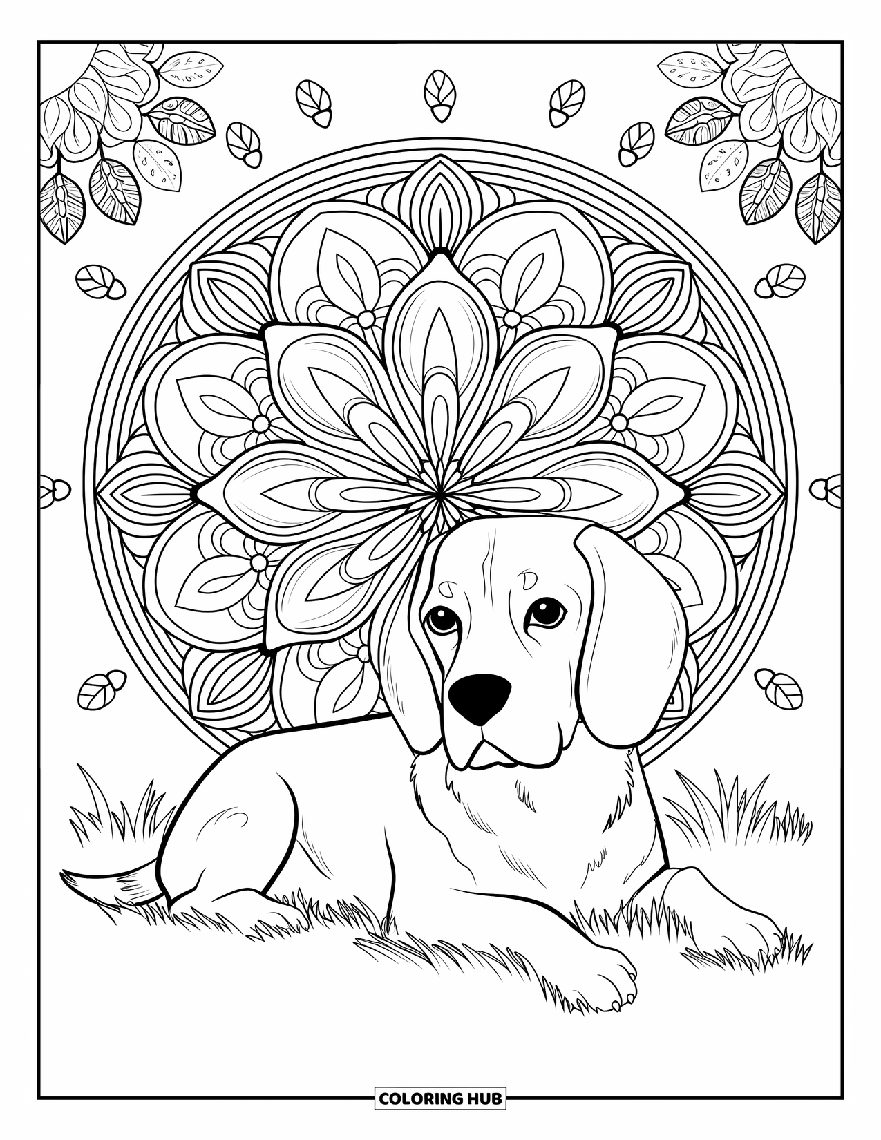85+ Beagle Coloring Pages for Kids & Adults (Free Printable PDFs)