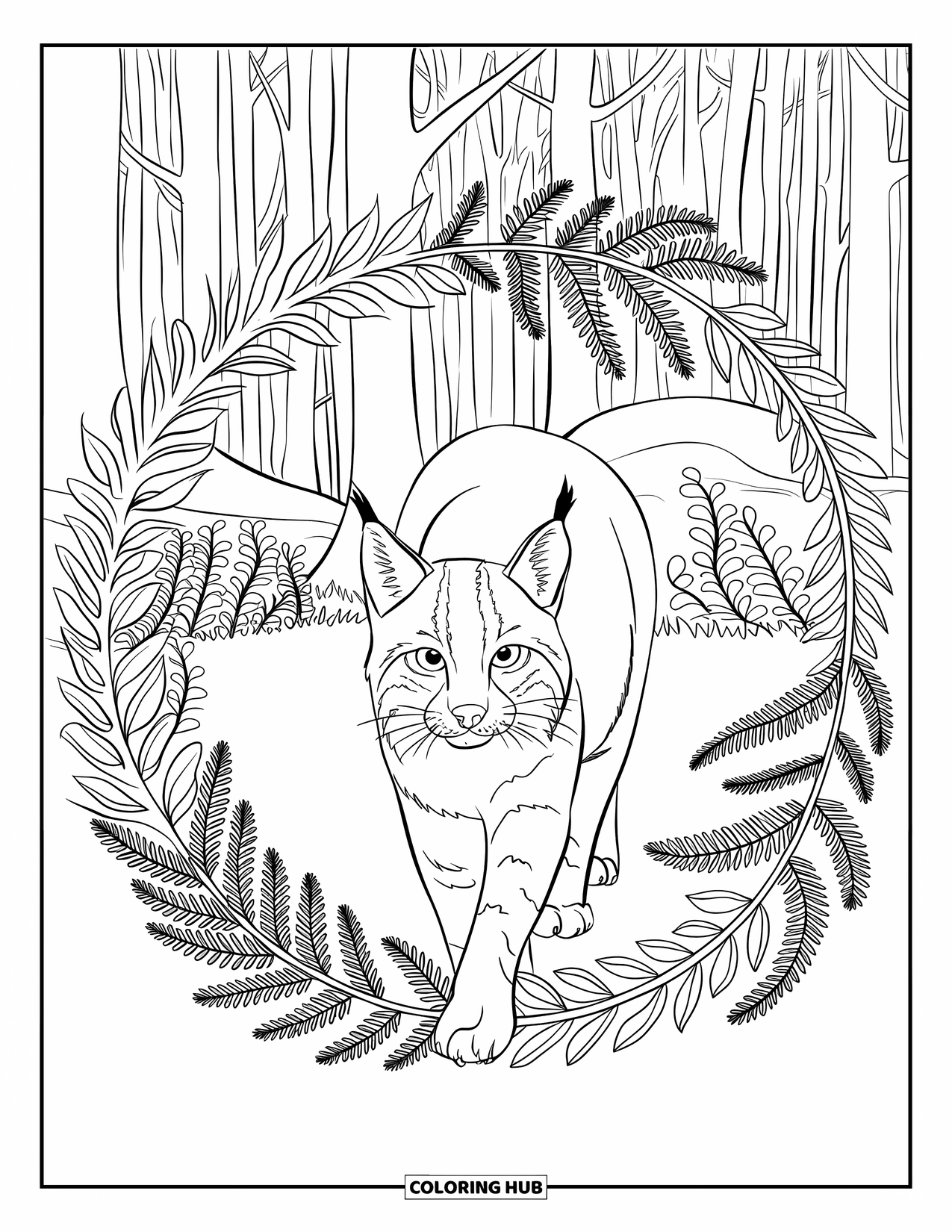 90+ Bobcat Coloring Pages for Kids & Adults (Free Printable PDFs)