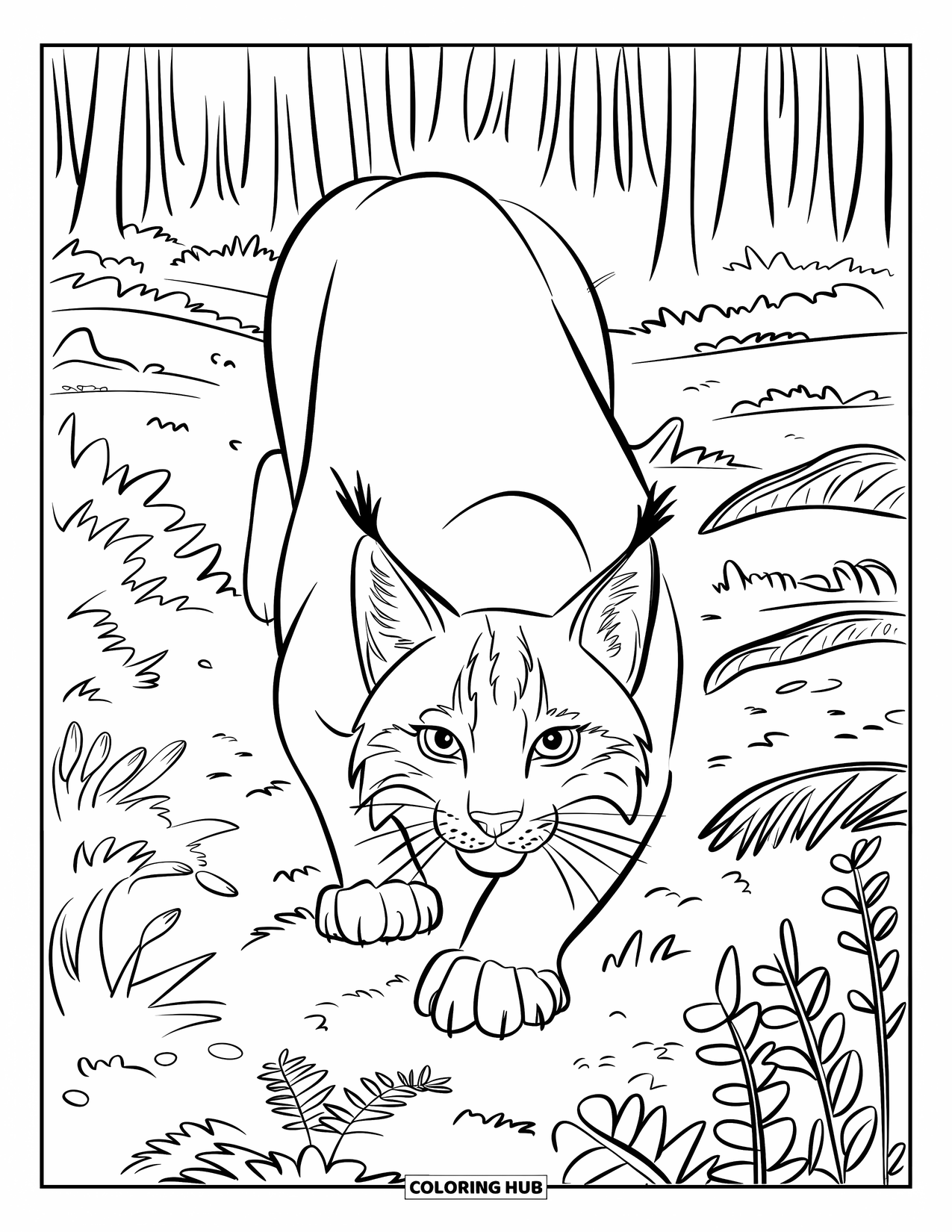 90+ Bobcat Coloring Pages for Kids & Adults (Free Printable PDFs)