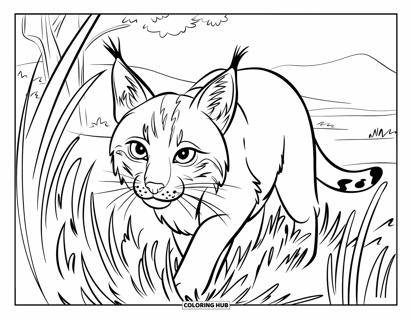 90+ Bobcat Coloring Pages for Kids & Adults (Free Printable PDFs)