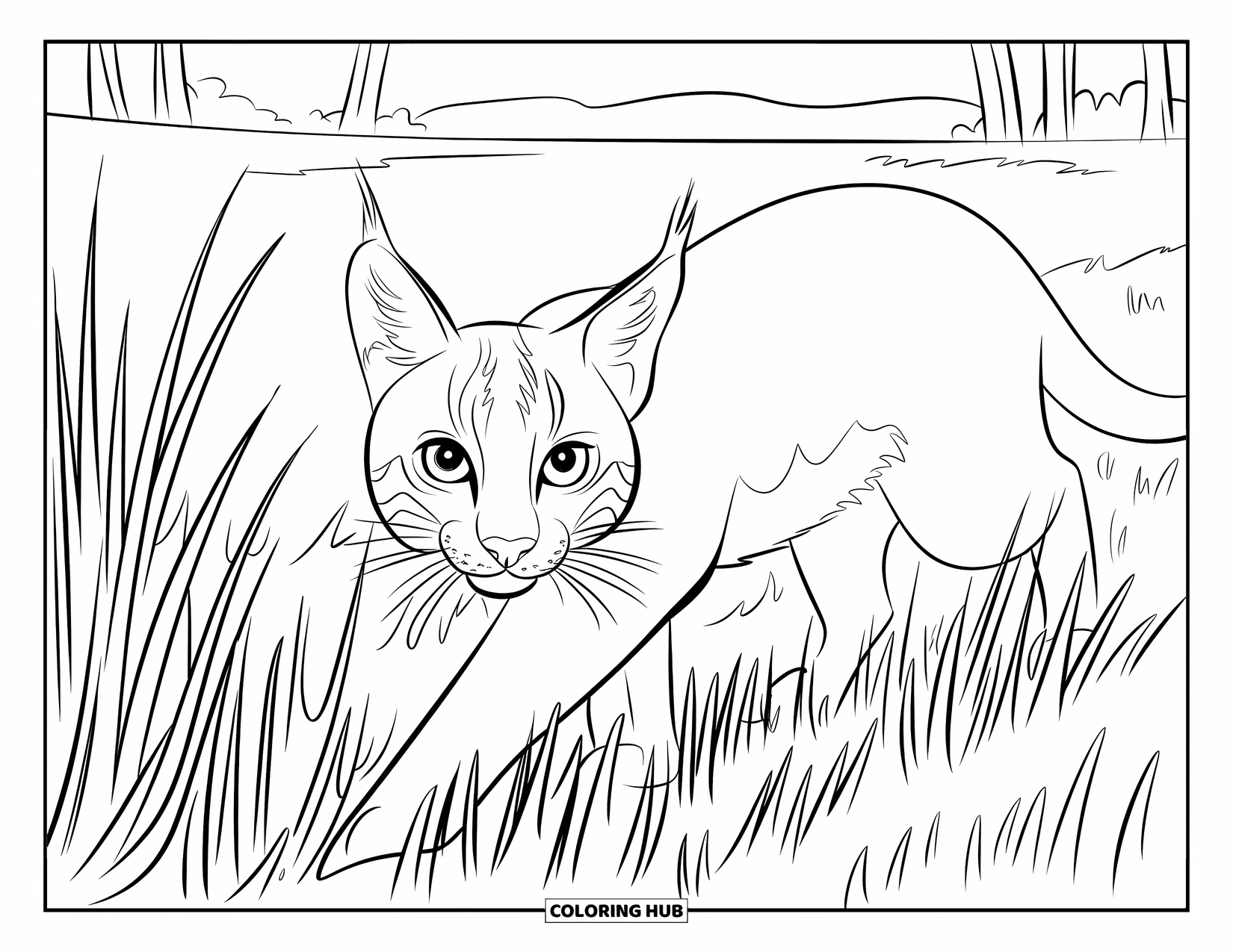 90+ Bobcat Coloring Pages for Kids & Adults (Free Printable PDFs)