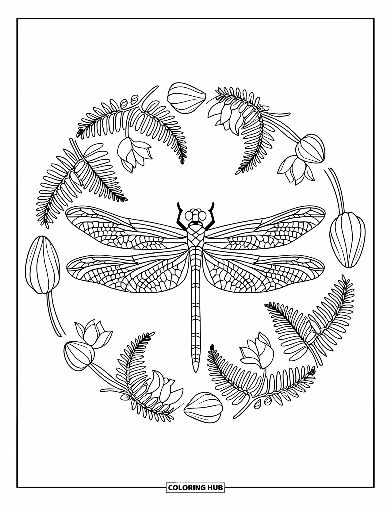 85+ Bug Coloring Pages for Kids & Adults (Free Printable PDFs)