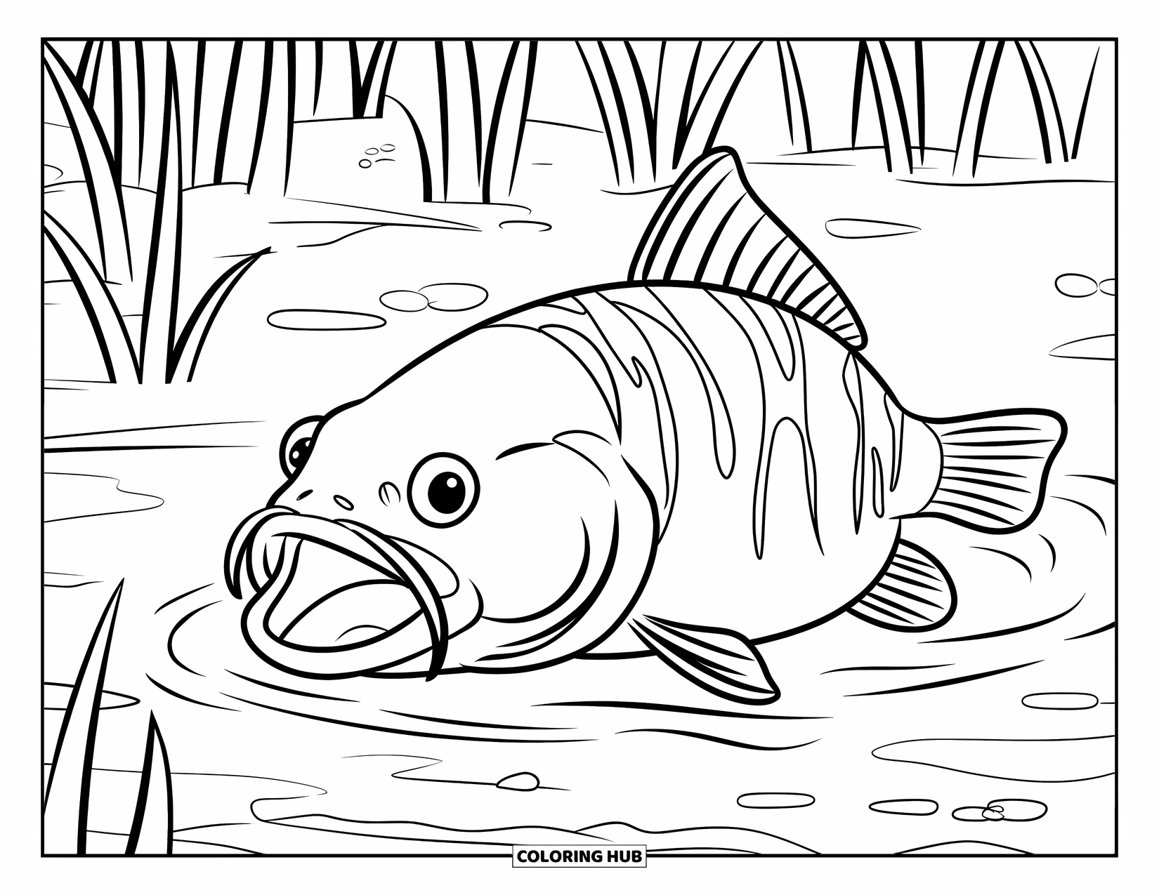 50+ Catfish Coloring Pages for Kids & Adults (Free Printable PDFs)