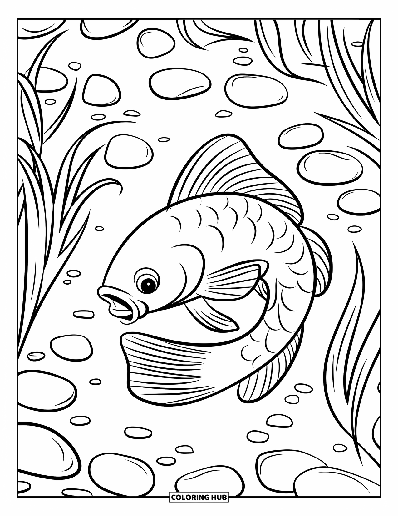 50+ Catfish Coloring Pages for Kids & Adults (Free Printable PDFs)
