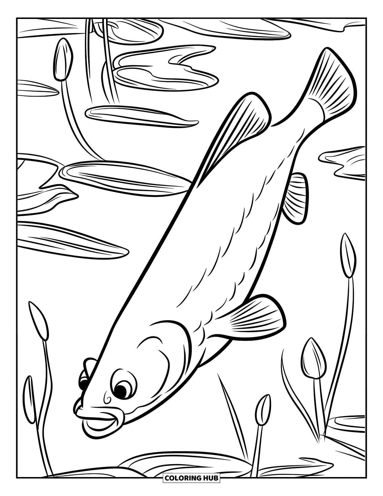 50+ Catfish Coloring Pages for Kids & Adults (Free Printable PDFs)