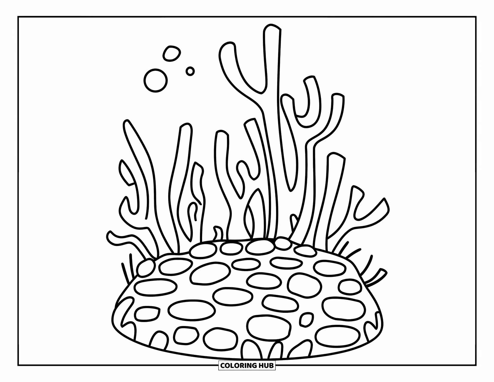 65+ Coral Reef Coloring Pages for Kids & Adults (Free Printable PDFs)