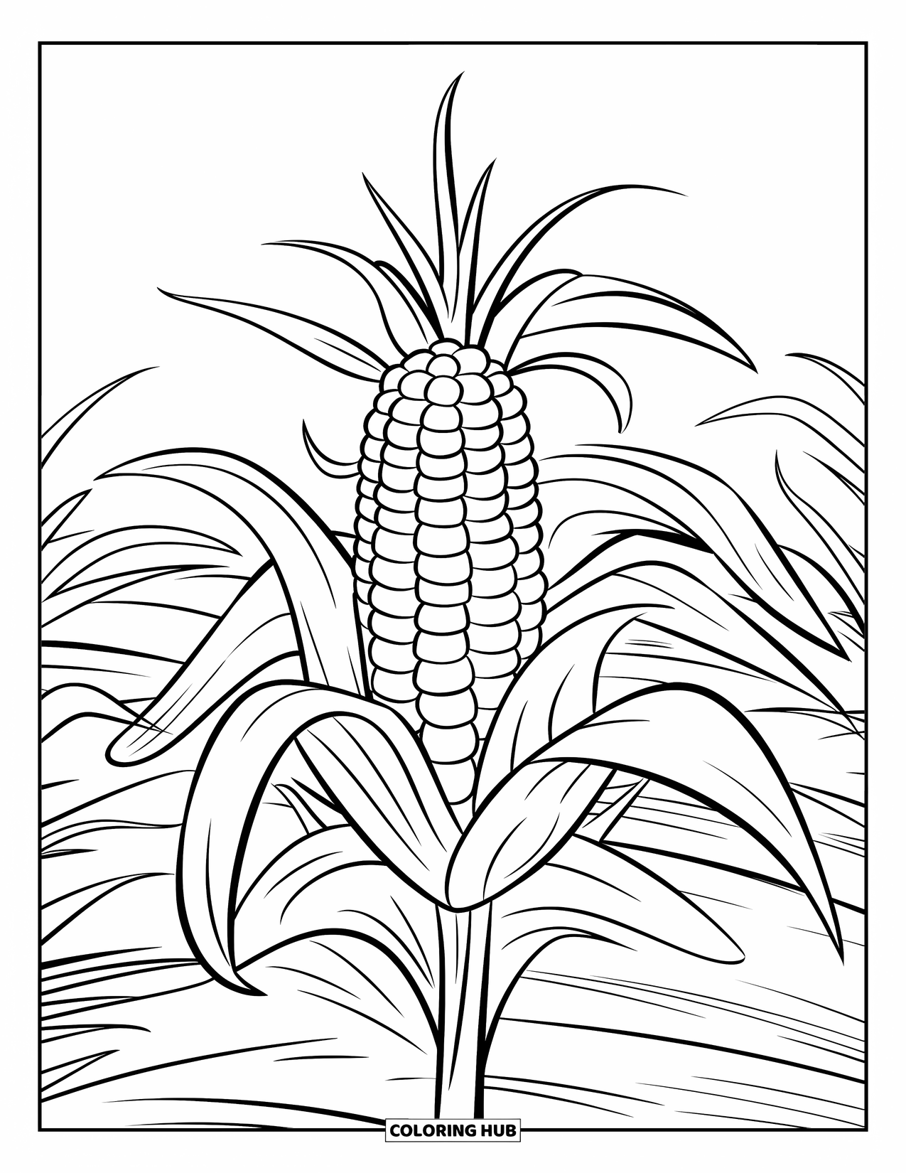 85+ Corn Coloring Pages for Kids & Adults (Free Printable PDFs)
