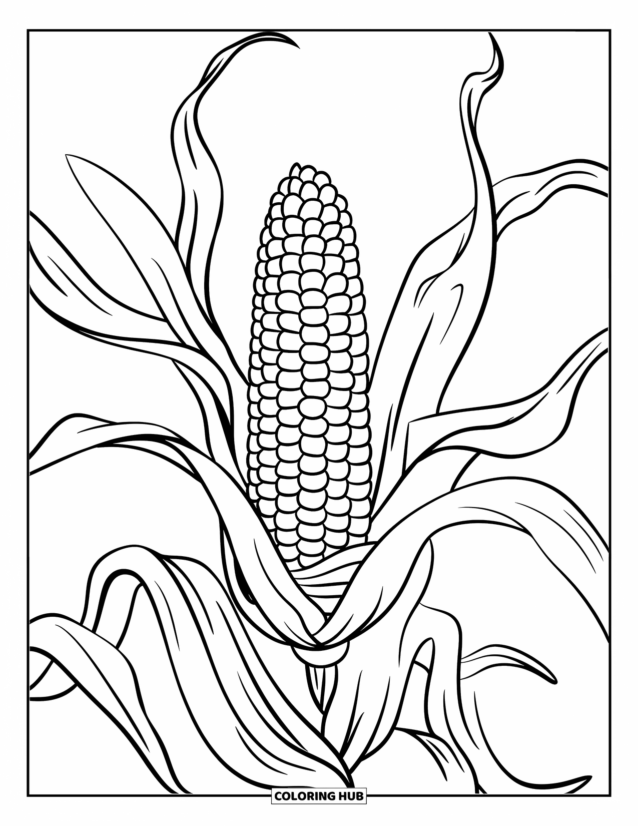 85+ Corn Coloring Pages for Kids & Adults (Free Printable PDFs)