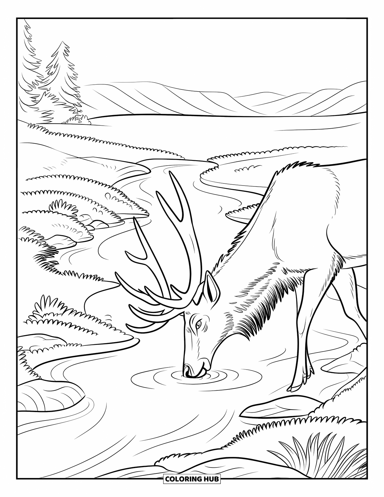 75+ Elk Coloring Pages for Kids & Adults (Free Printable PDFs)