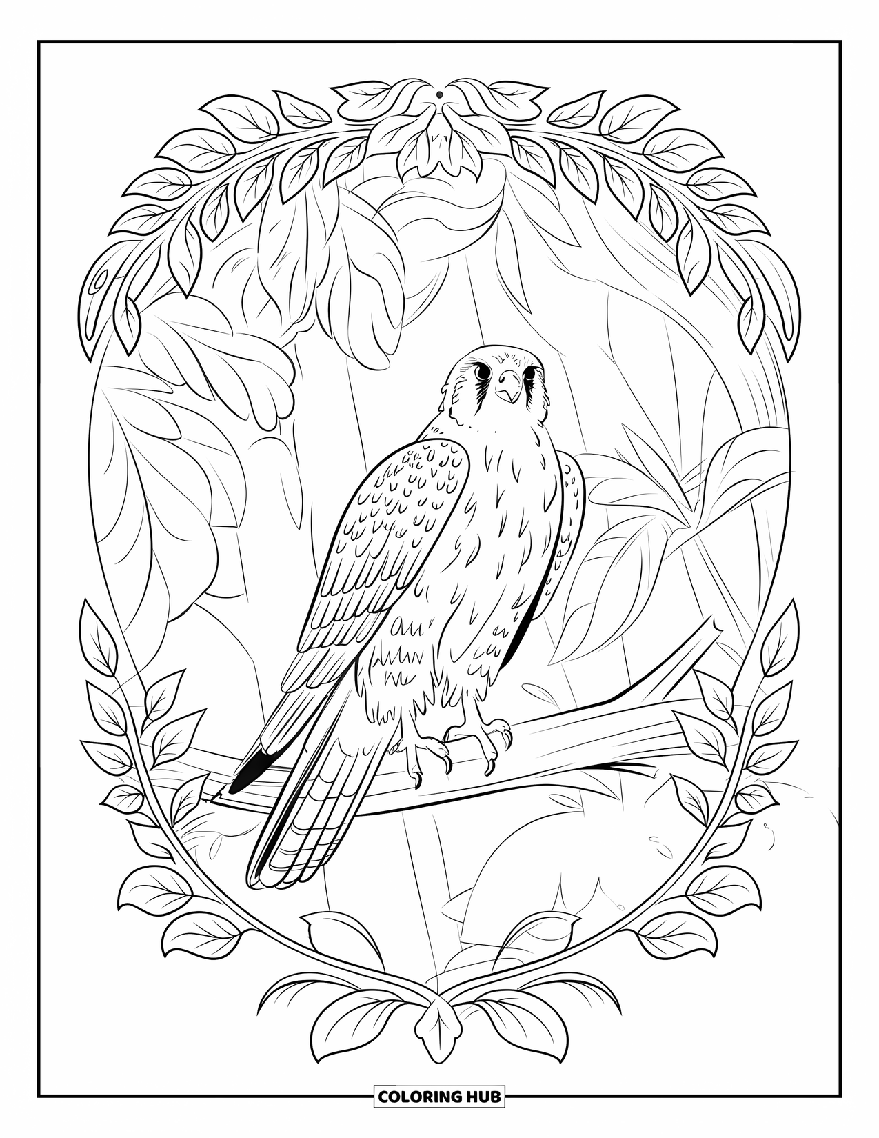 90+ Falcon Coloring Pages for Kids & Adults (Free Printable PDFs)