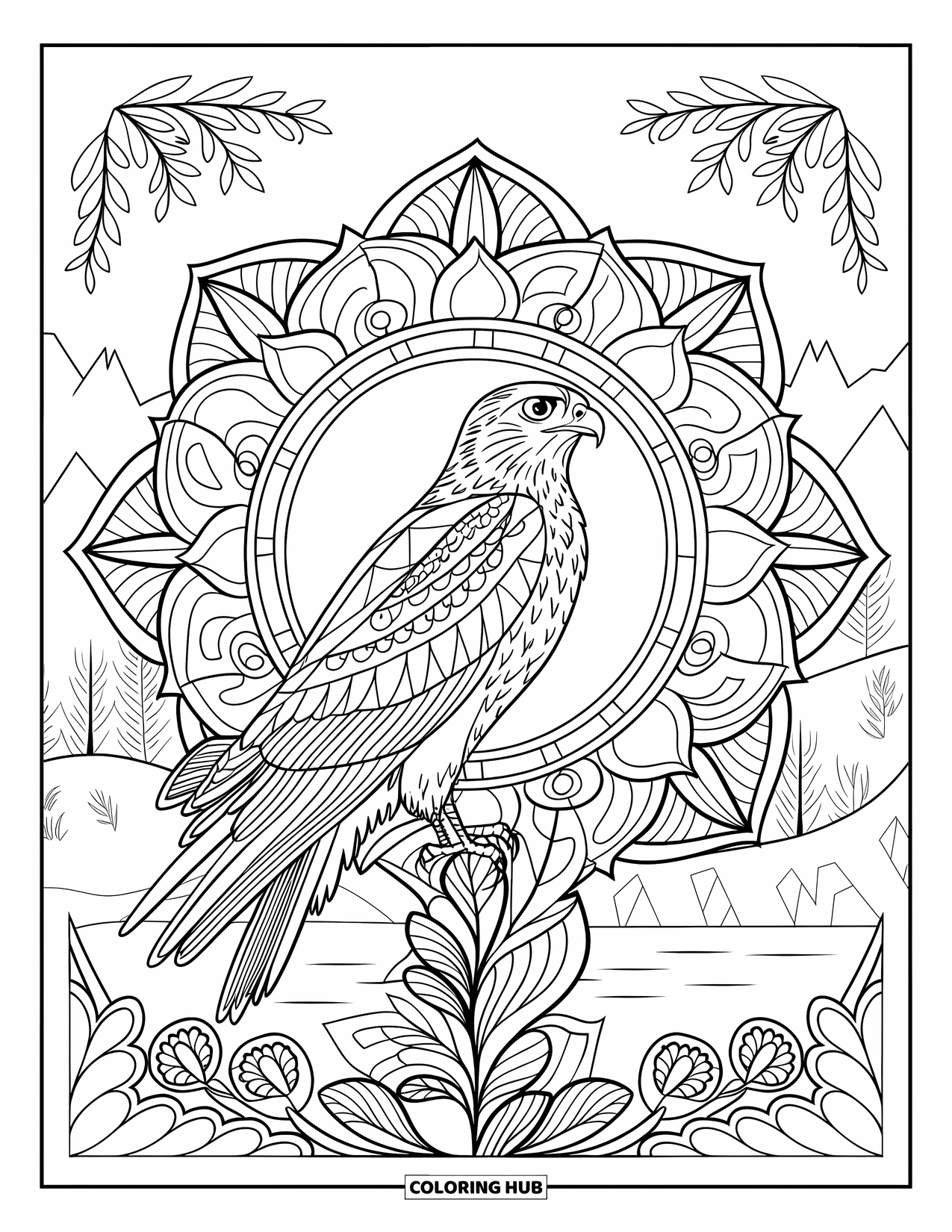 85+ Hawk Coloring Pages for Kids & Adults (Free Printable PDFs)