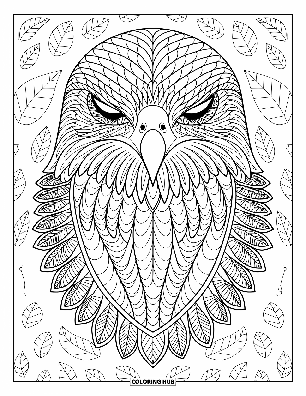 85+ Hawk Coloring Pages for Kids & Adults (Free Printable PDFs)
