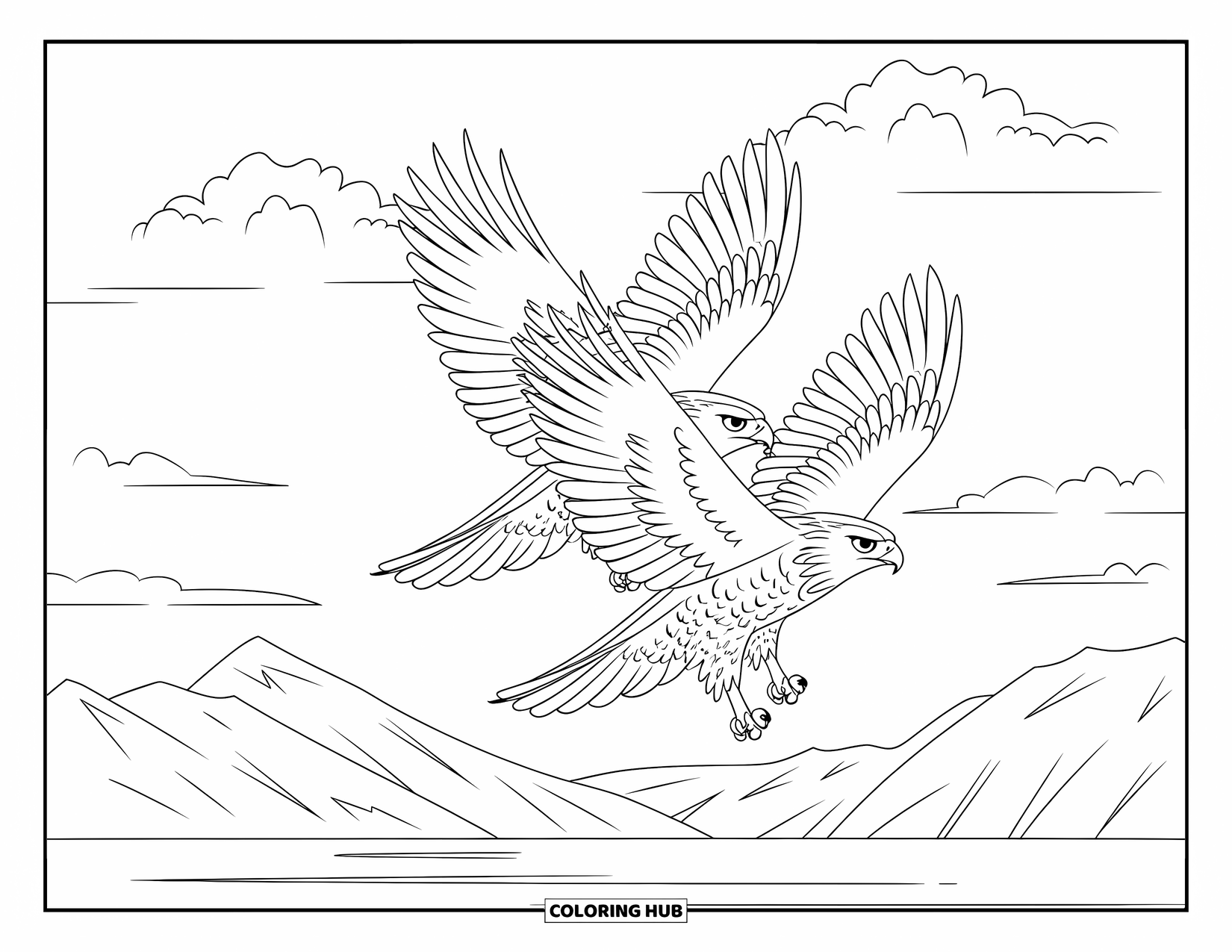 85+ Hawk Coloring Pages for Kids & Adults (Free Printable PDFs)