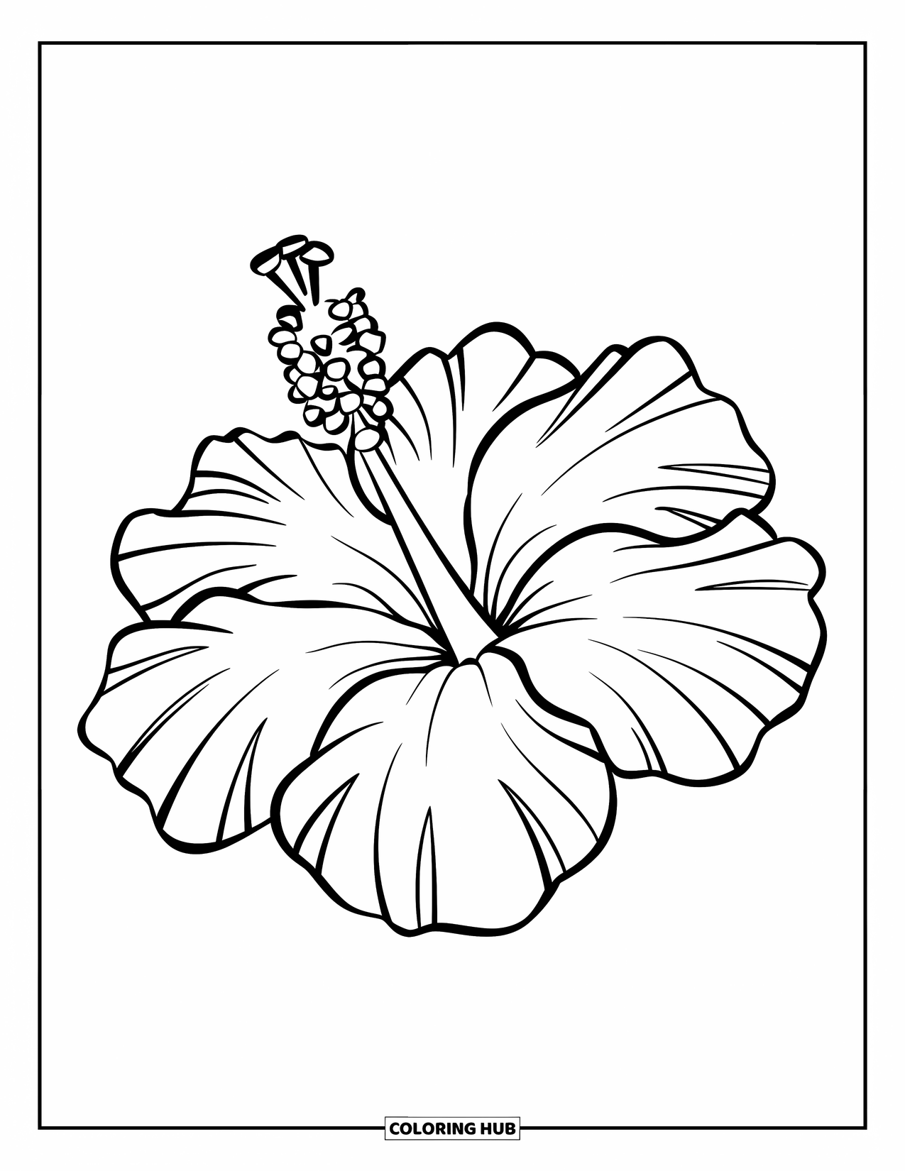 85+ Hibiscus Coloring Pages for Kids & Adults (Free Printable PDFs)
