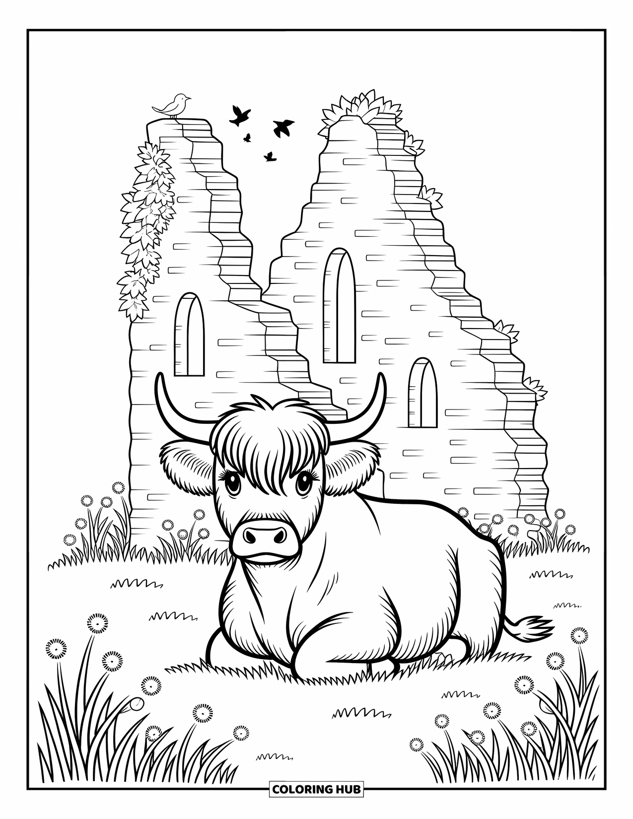 95+ Highland Cow Coloring Pages for Kids & Adults (Free Printable PDFs)