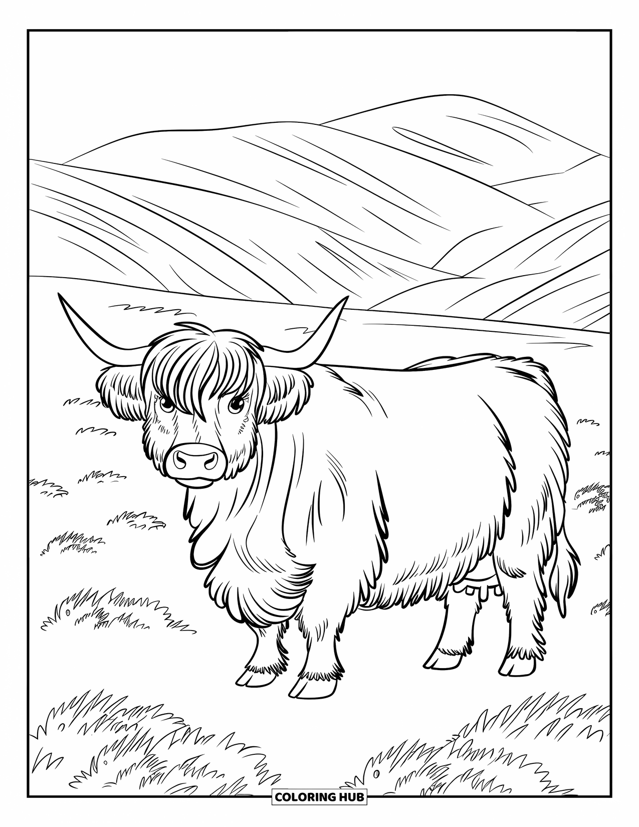 95+ Highland Cow Coloring Pages for Kids & Adults (Free Printable PDFs)