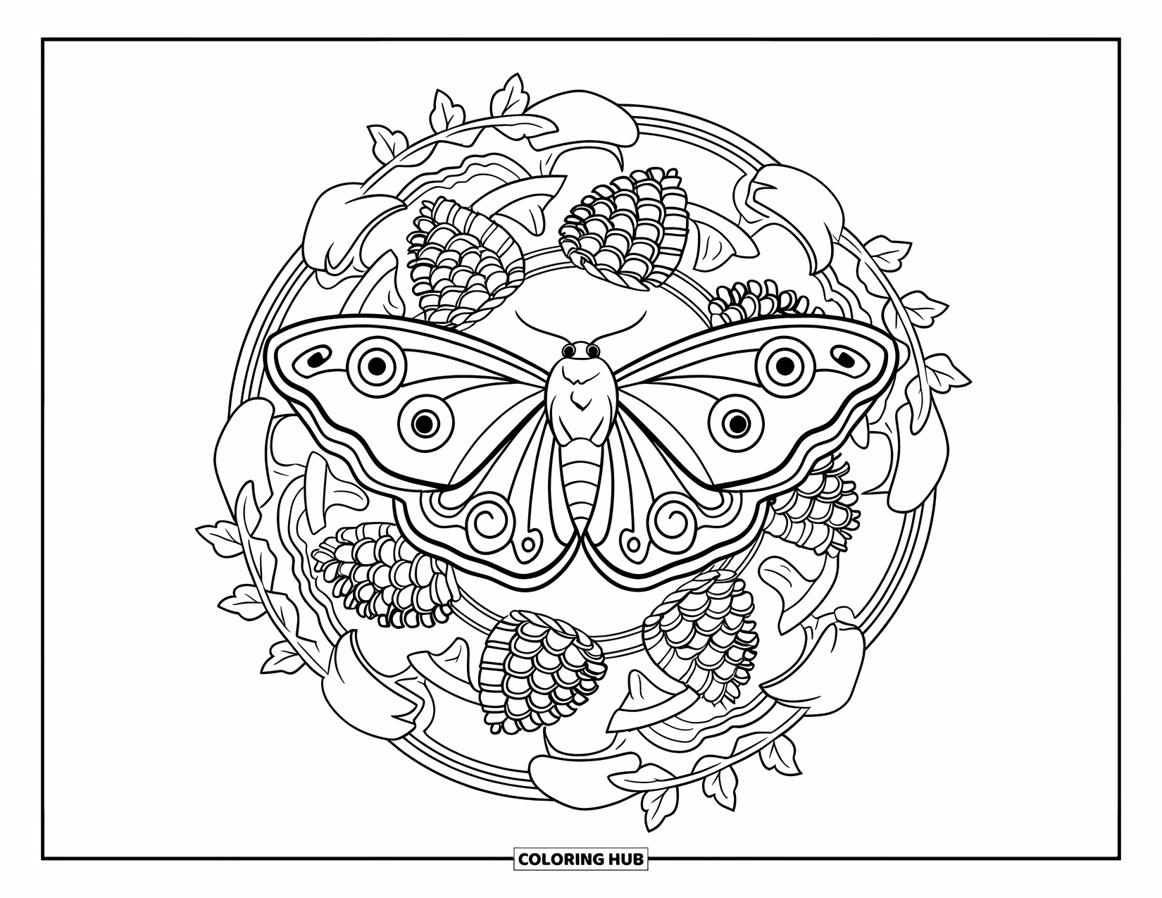 95+ Insects Coloring Pages for Kids & Adults (Free Printable PDFs)