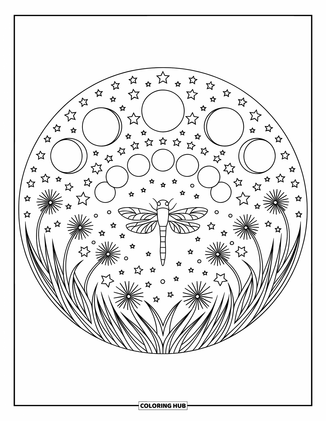 95+ Insects Coloring Pages for Kids & Adults (Free Printable PDFs)