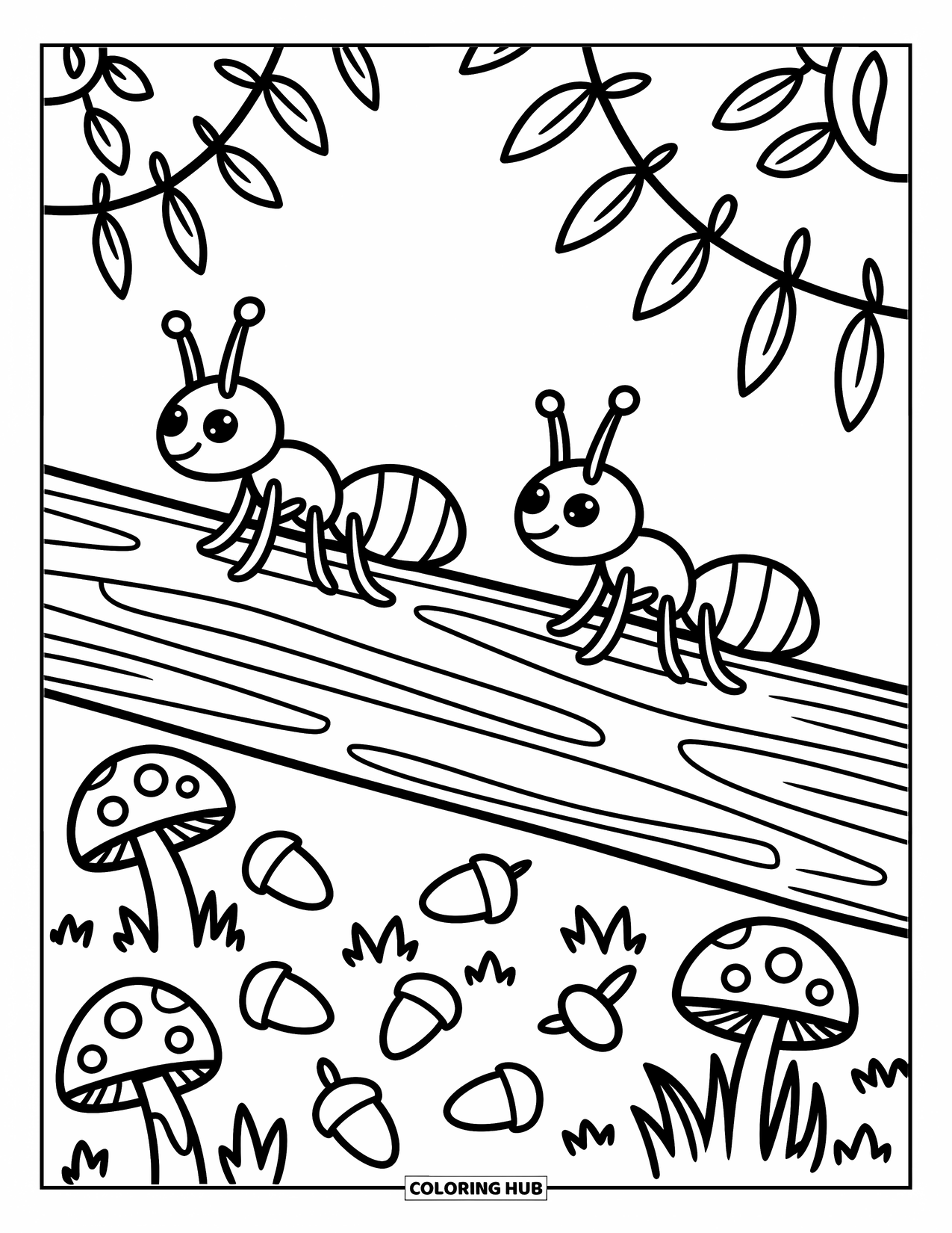 95+ Insects Coloring Pages for Kids & Adults (Free Printable PDFs)