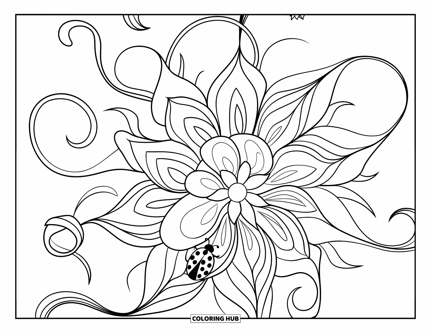 90+ Ladybug Coloring Pages for Kids & Adults (Free Printable PDFs)