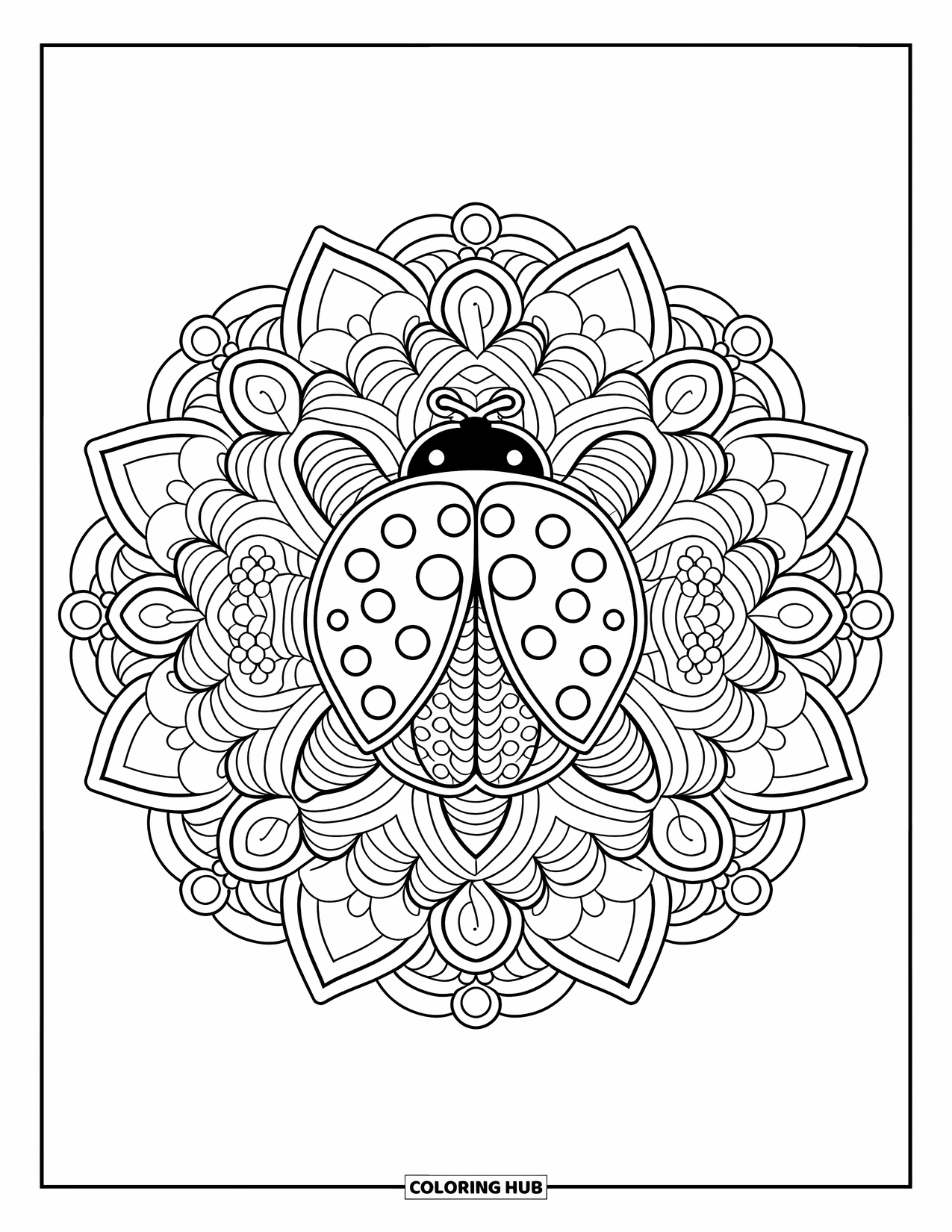 90+ Ladybug Coloring Pages for Kids & Adults (Free Printable PDFs)