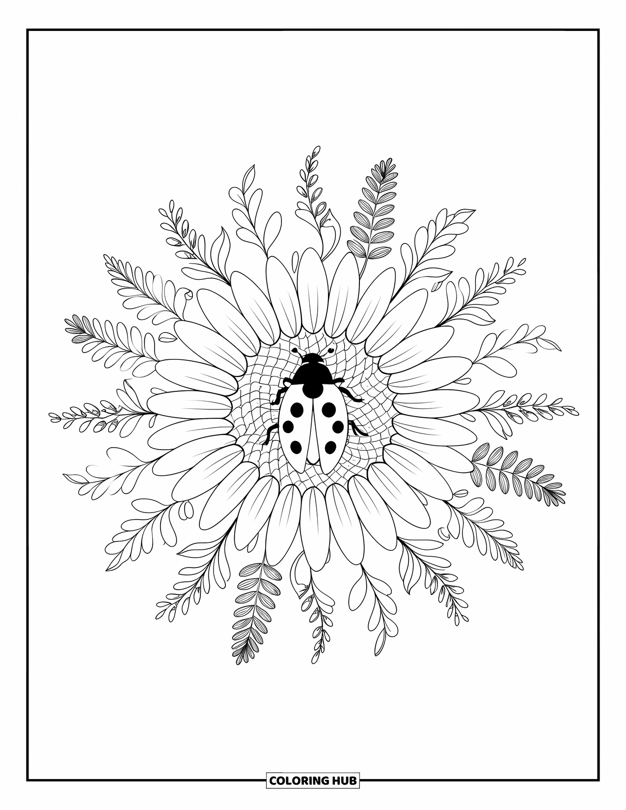 90+ Ladybug Coloring Pages for Kids & Adults (Free Printable PDFs)