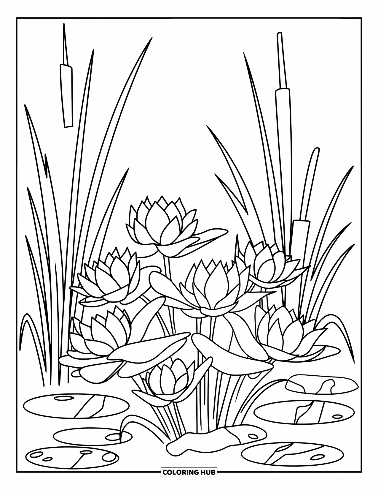 85+ Lotus Coloring Pages for Kids & Adults (Free Printable PDFs)