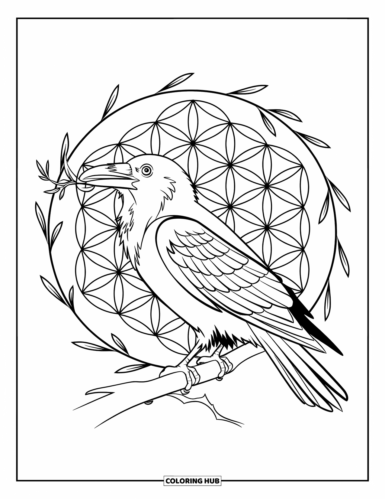 90+ Raven Coloring Pages for Kids & Adults (Free Printable PDFs)