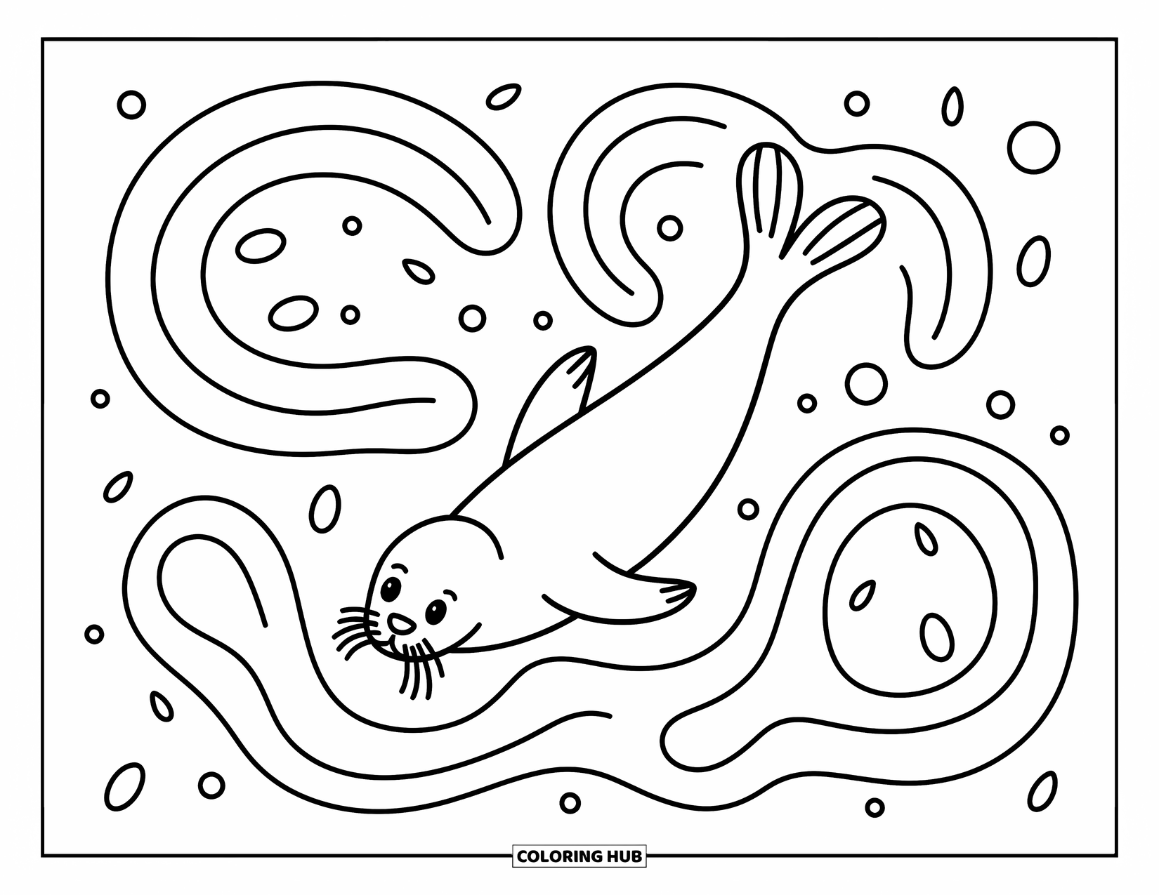 75+ Seal Coloring Pages for Kids & Adults (Free Printable PDFs)