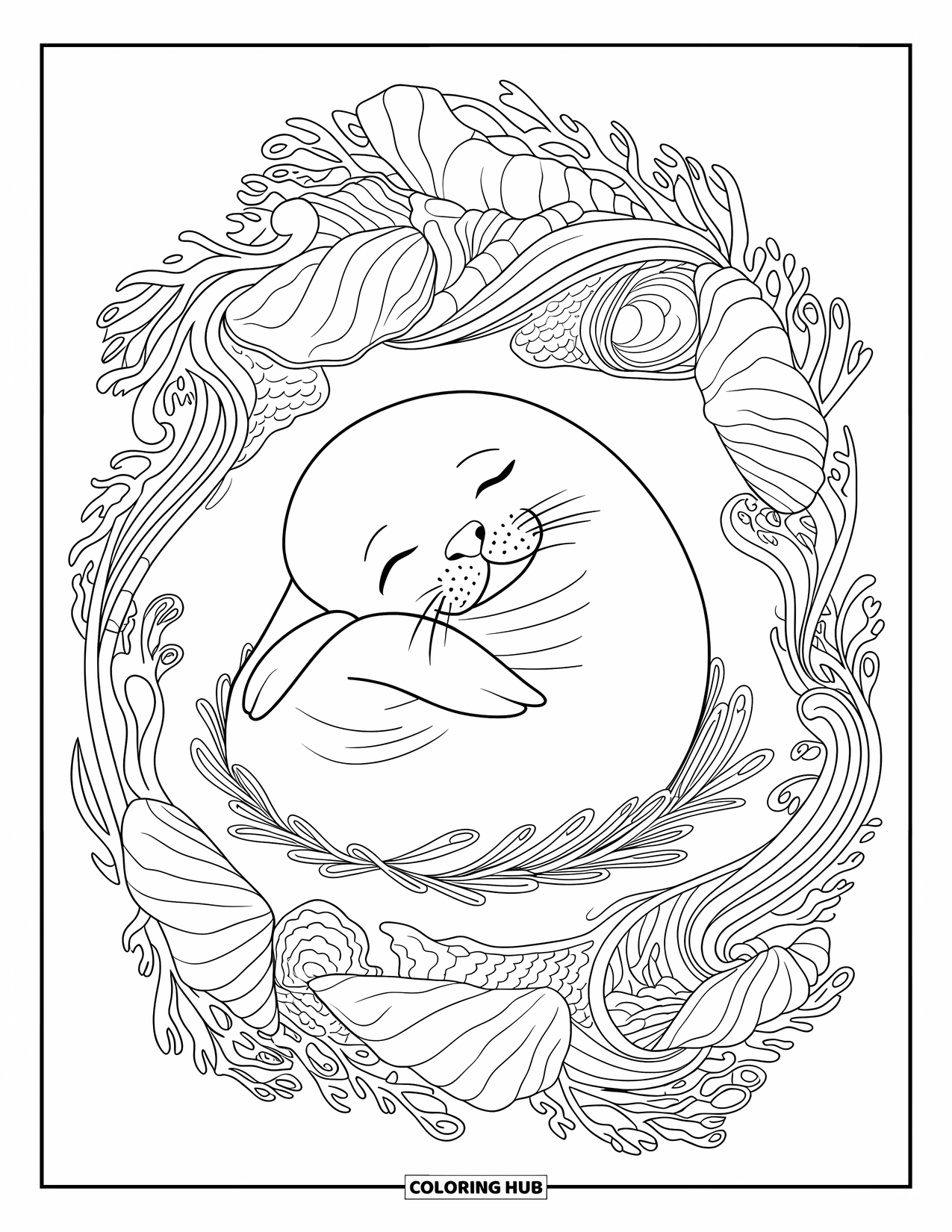 75+ Seal Coloring Pages for Kids & Adults (Free Printable PDFs)