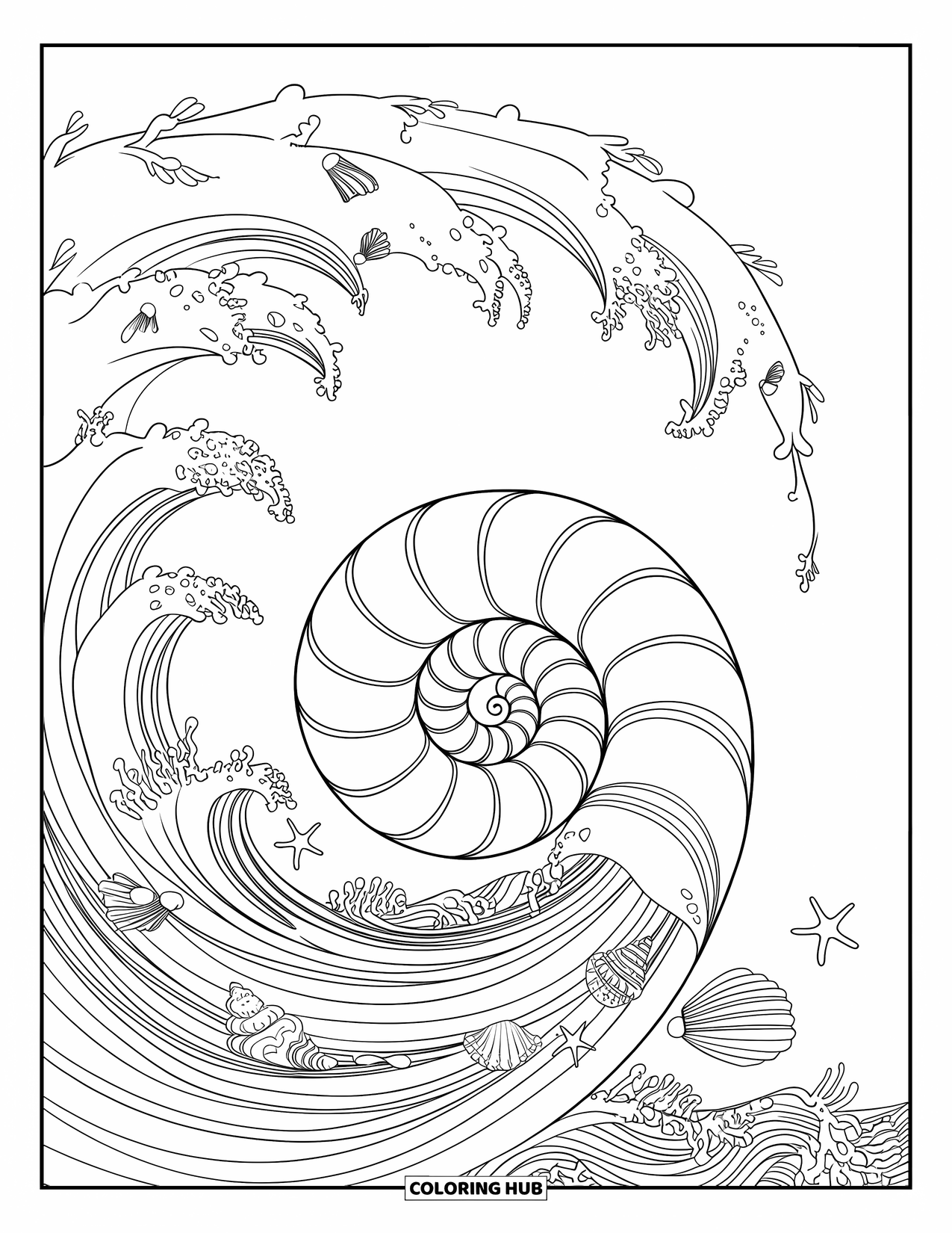 75+ Seashell Coloring Pages for Kids & Adults (Free Printable PDFs)