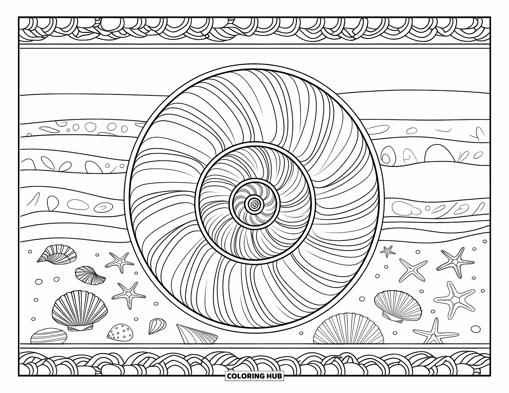 75+ Seashell Coloring Pages for Kids & Adults (Free Printable PDFs)