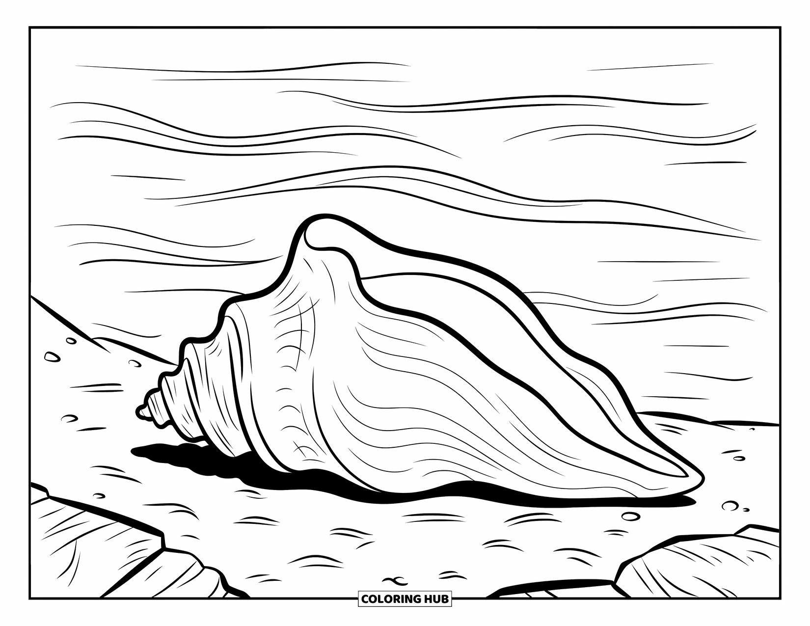 75+ Seashell Coloring Pages for Kids & Adults (Free Printable PDFs)