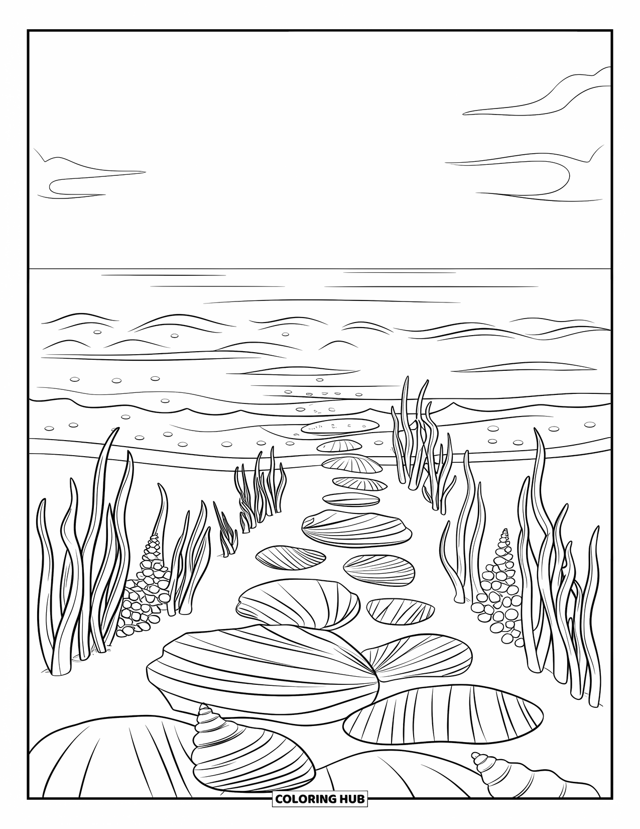 75+ Seashell Coloring Pages for Kids & Adults (Free Printable PDFs)