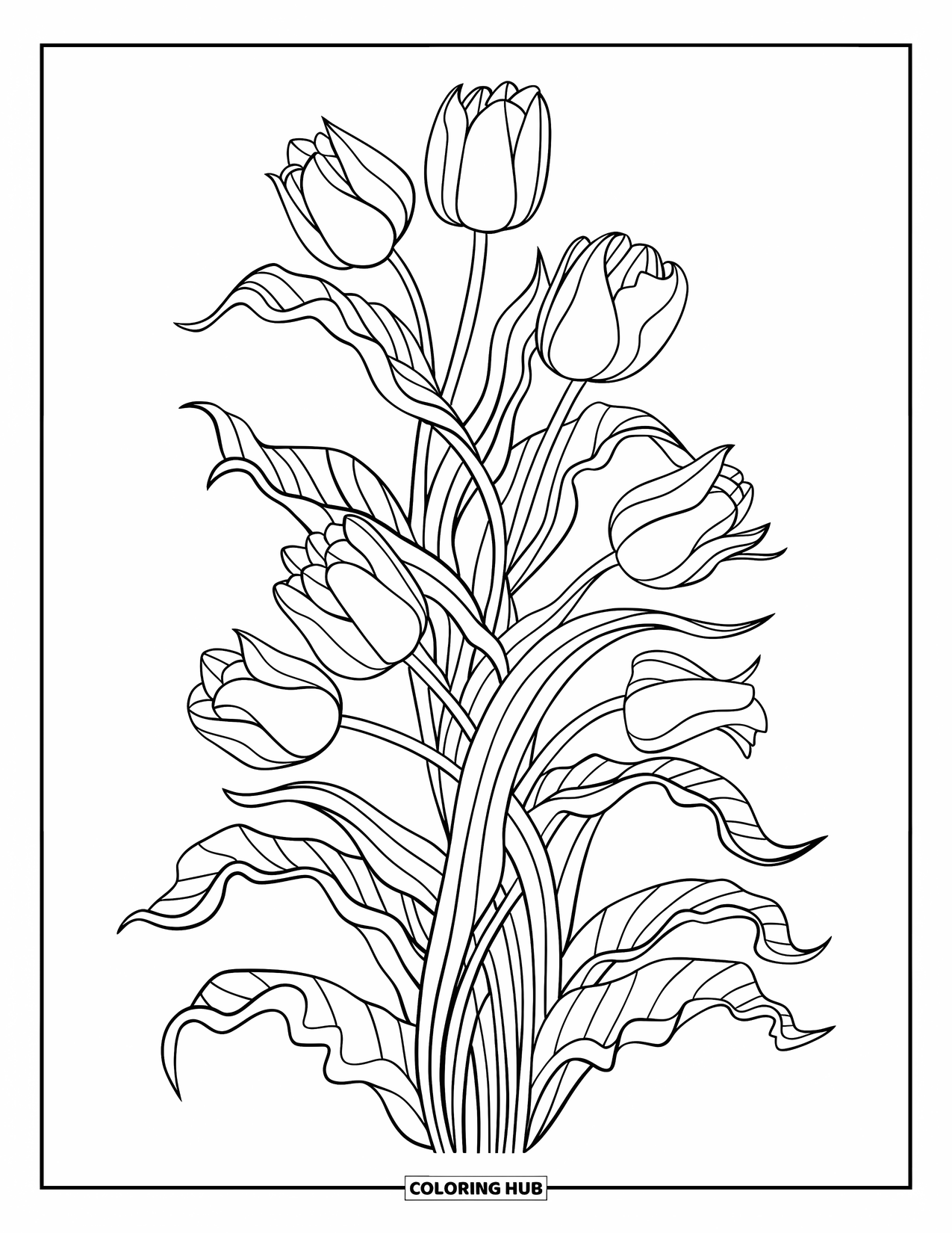 110+ Spring Flowers Coloring Pages for Kids & Adults (Free Printable PDFs)