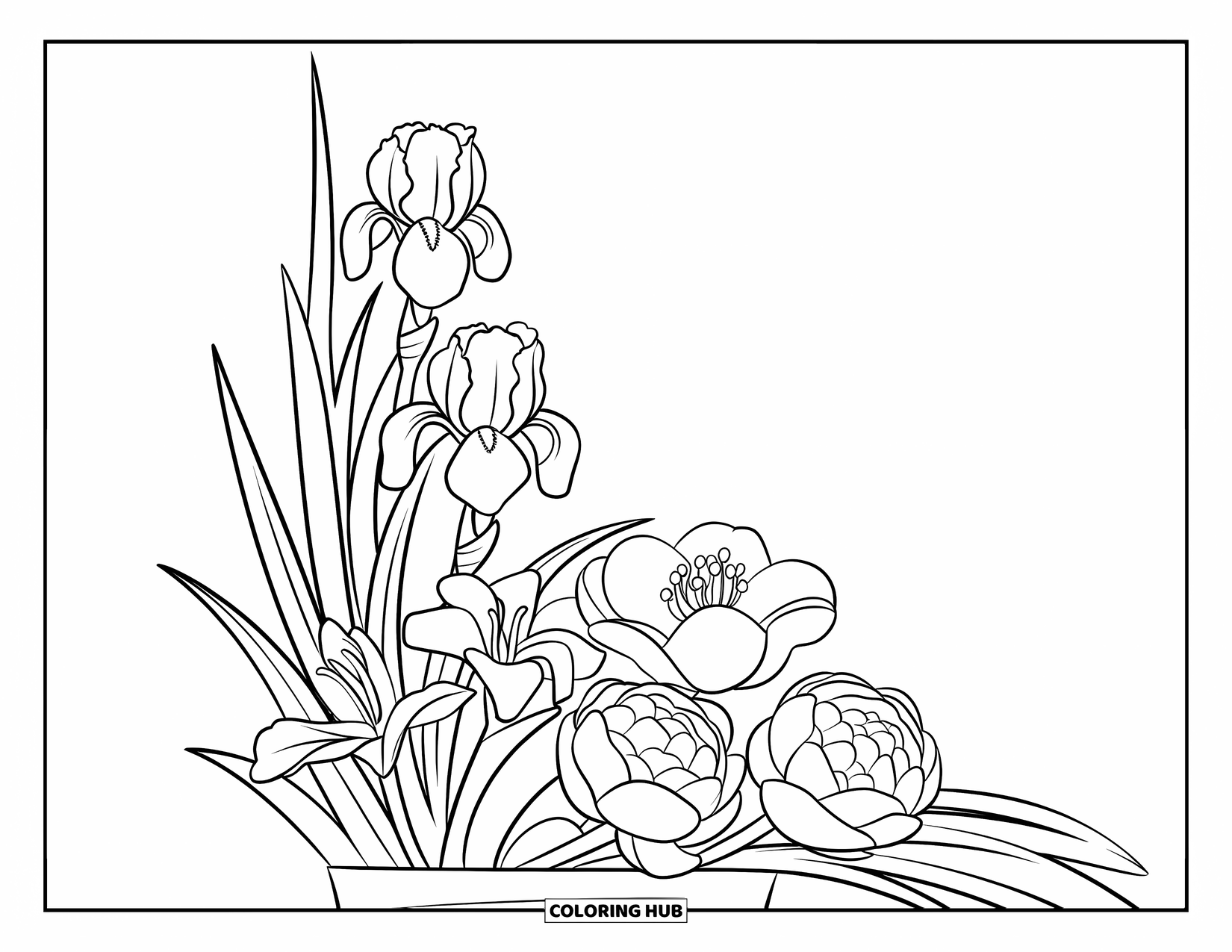 110+ Spring Flowers Coloring Pages for Kids & Adults (Free Printable PDFs)