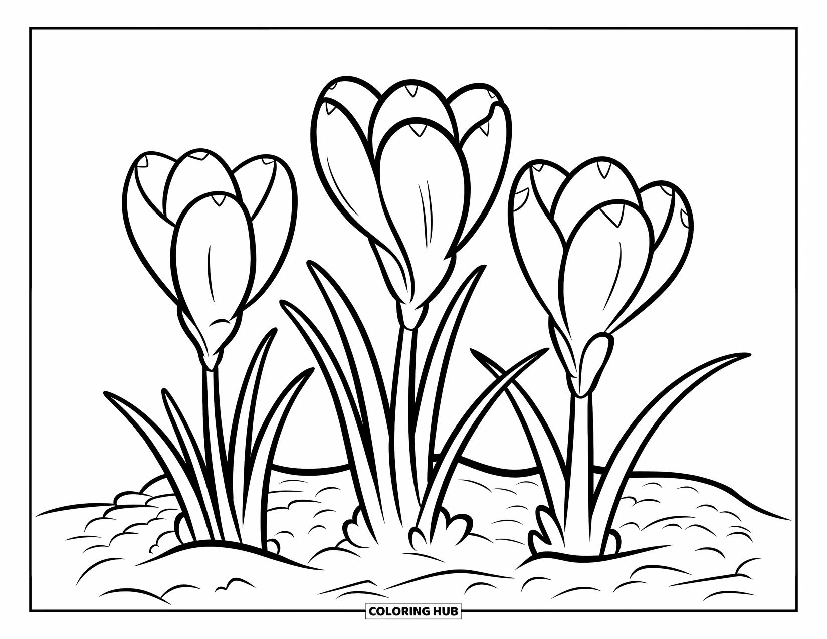 110+ Spring Flowers Coloring Pages for Kids & Adults (Free Printable PDFs)