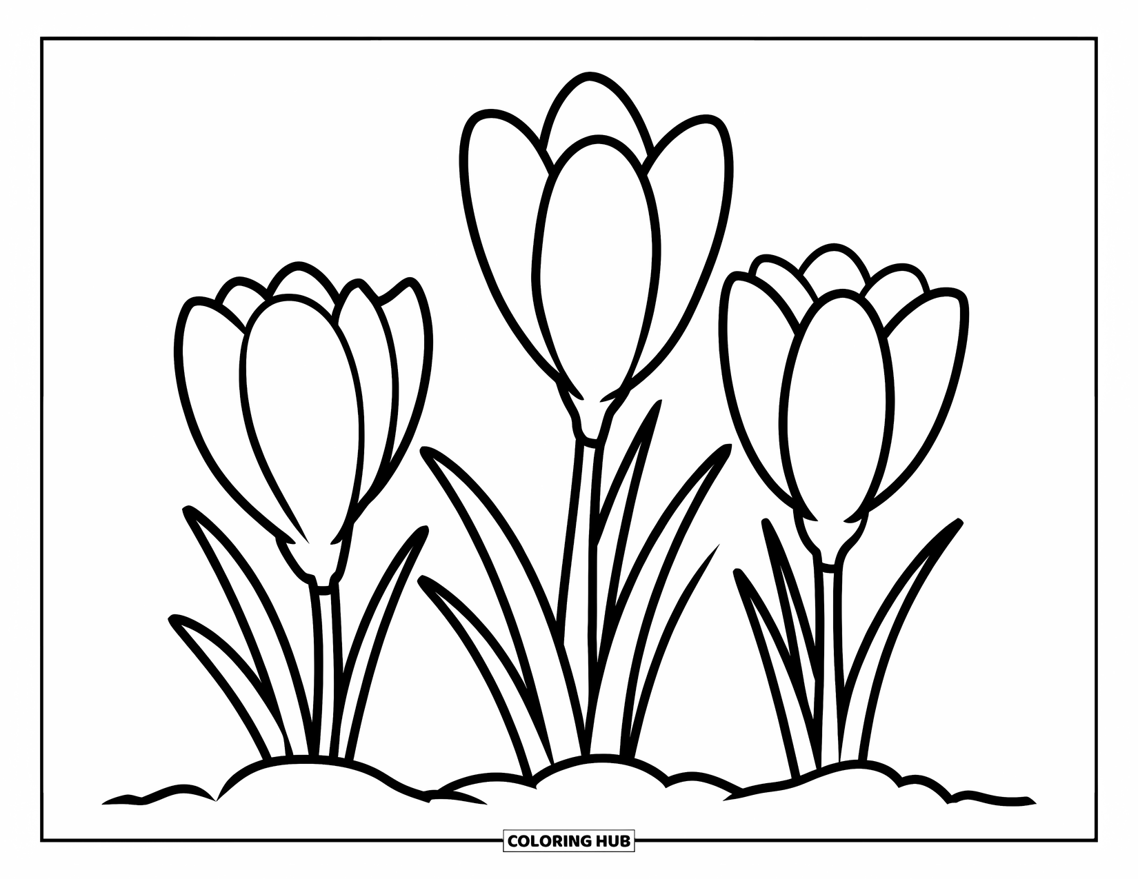 110+ Spring Flowers Coloring Pages for Kids & Adults (Free Printable PDFs)