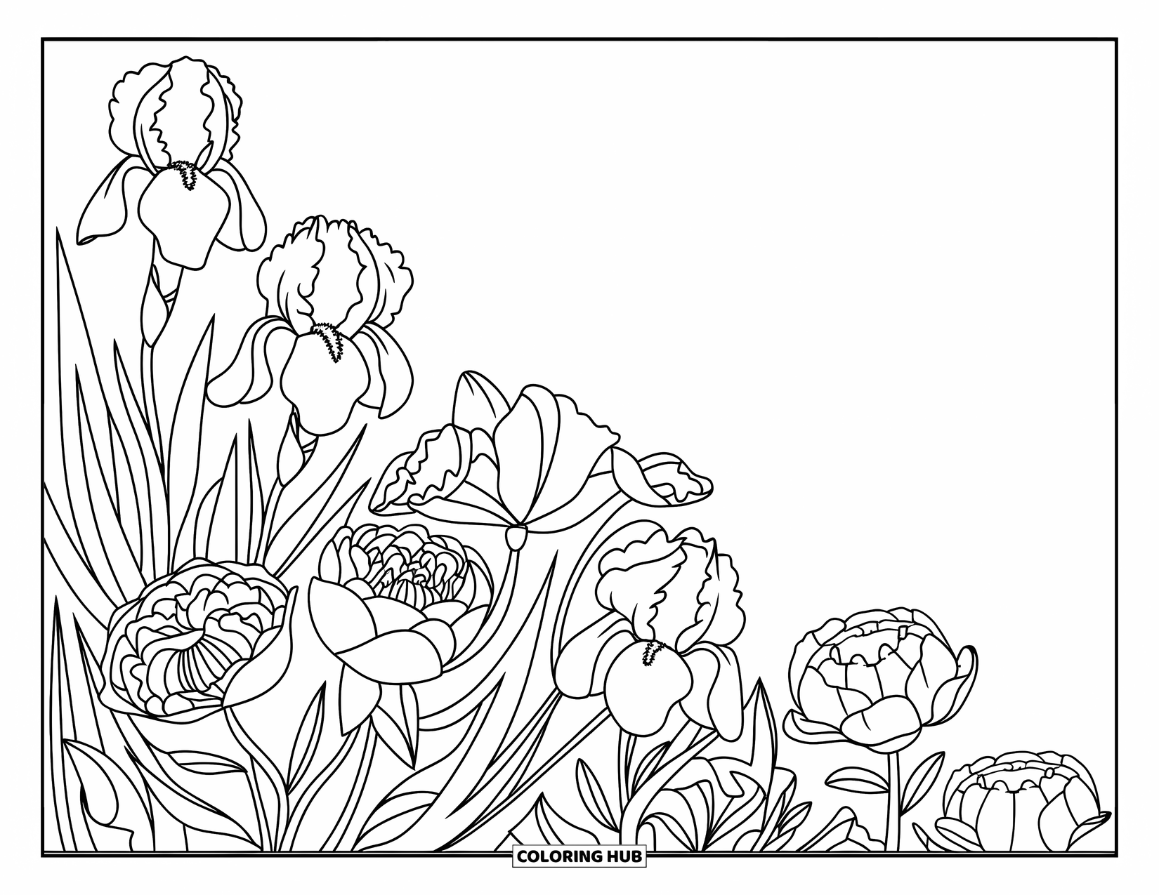 110+ Spring Flowers Coloring Pages for Kids & Adults (Free Printable PDFs)
