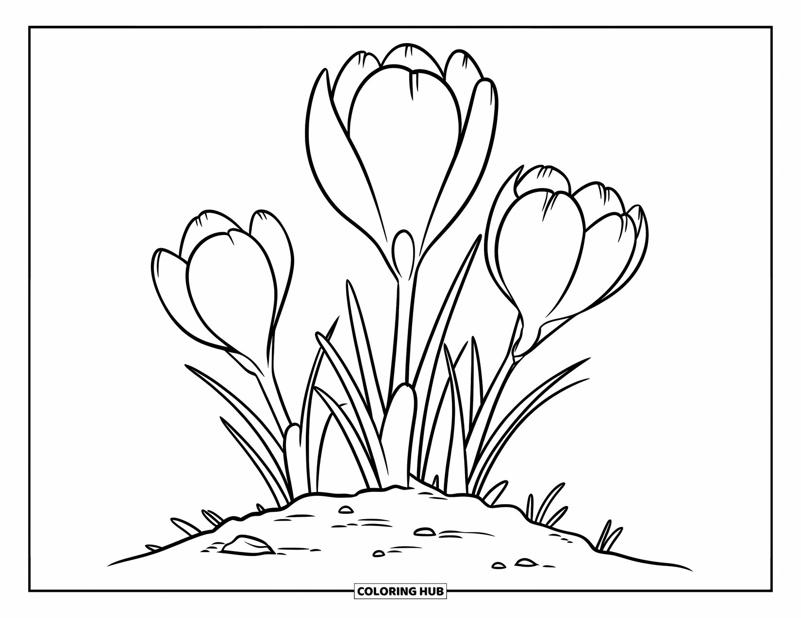 110+ Spring Flowers Coloring Pages for Kids & Adults (Free Printable PDFs)