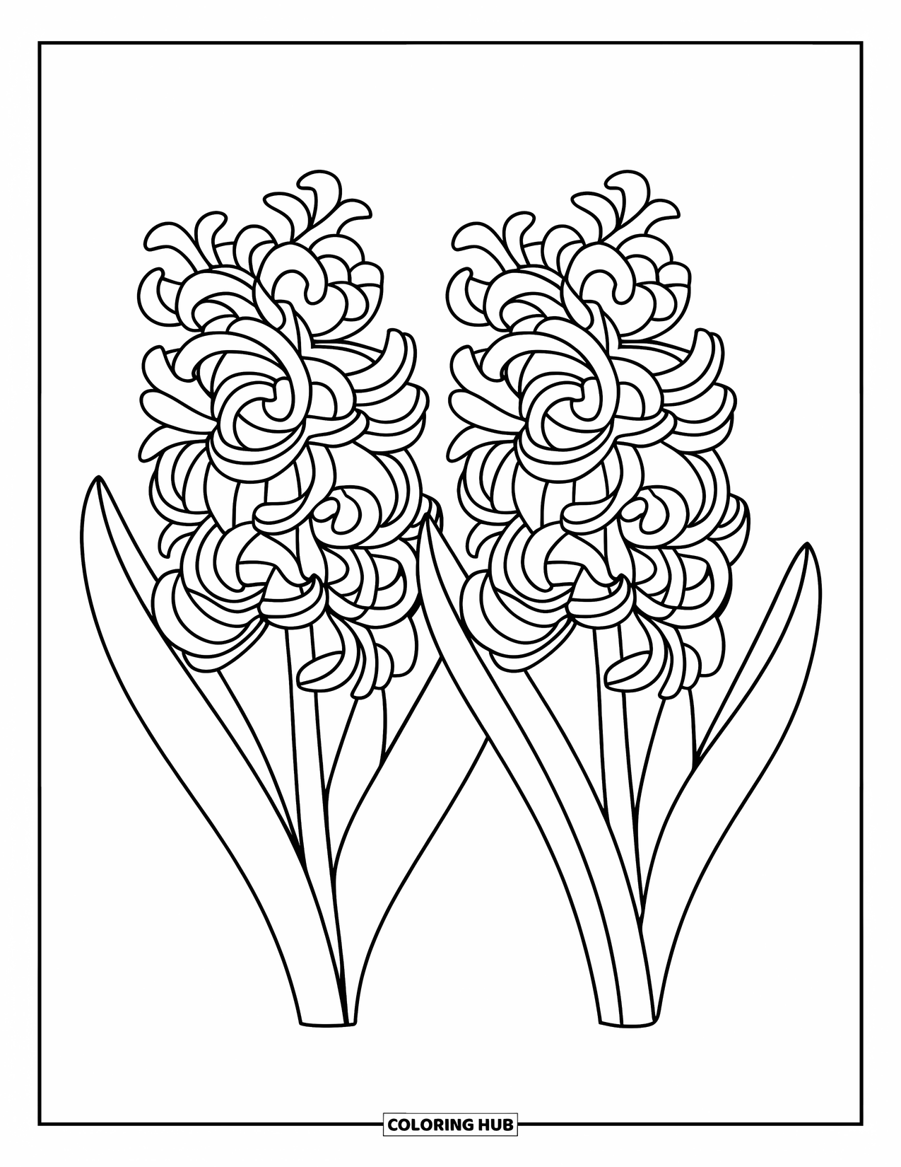 110+ Spring Flowers Coloring Pages for Kids & Adults (Free Printable PDFs)