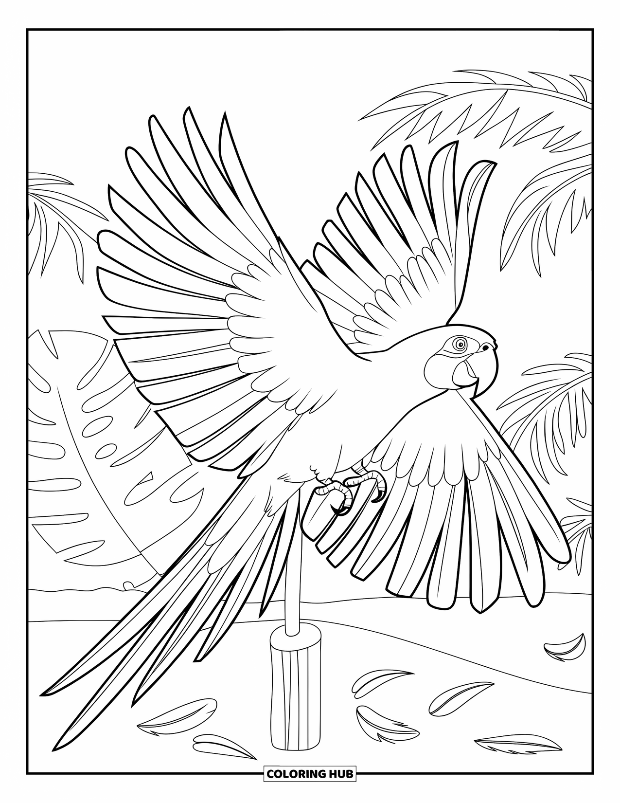100+ Tropical Coloring Pages for Kids & Adults (Free Printable PDFs)