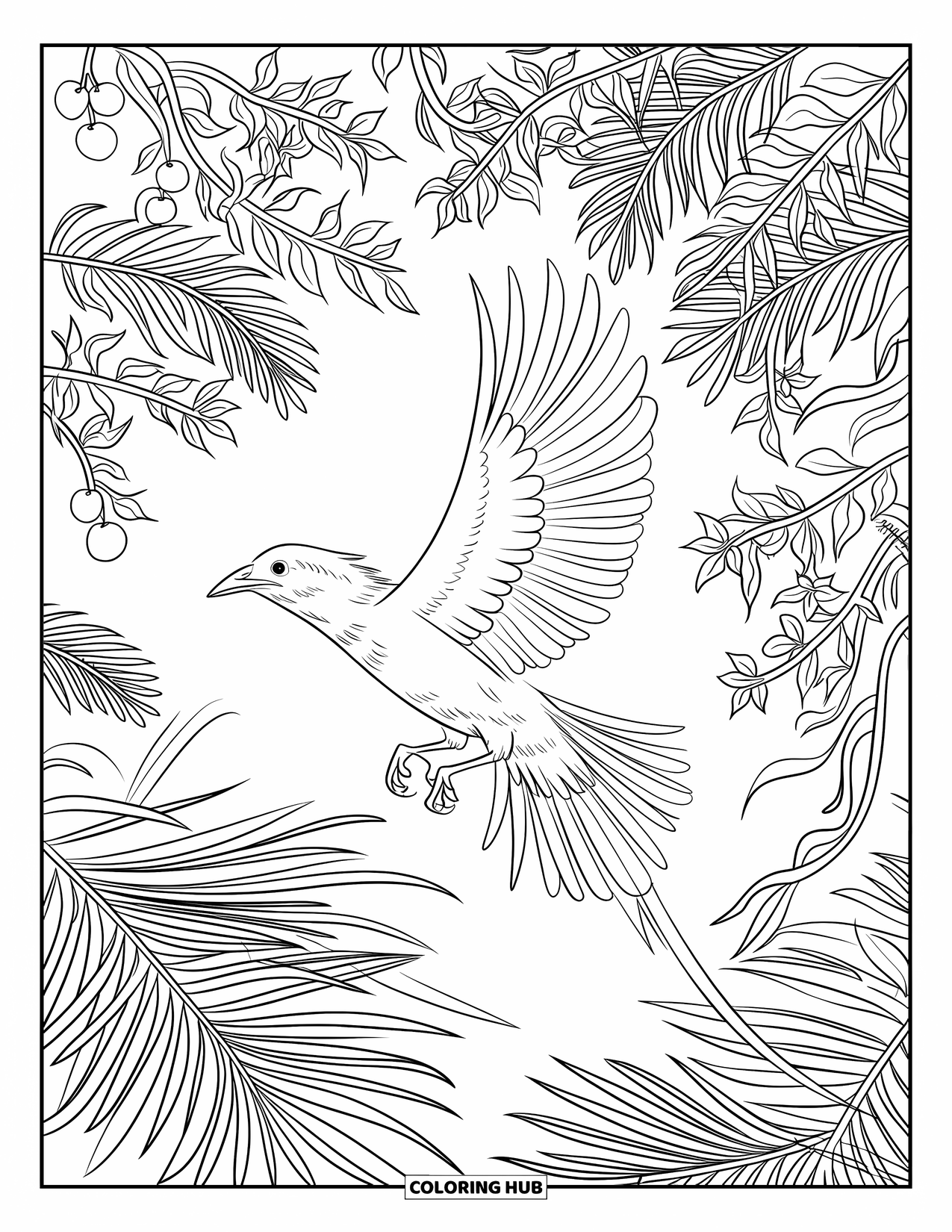 100+ Tropical Coloring Pages for Kids & Adults (Free Printable PDFs)