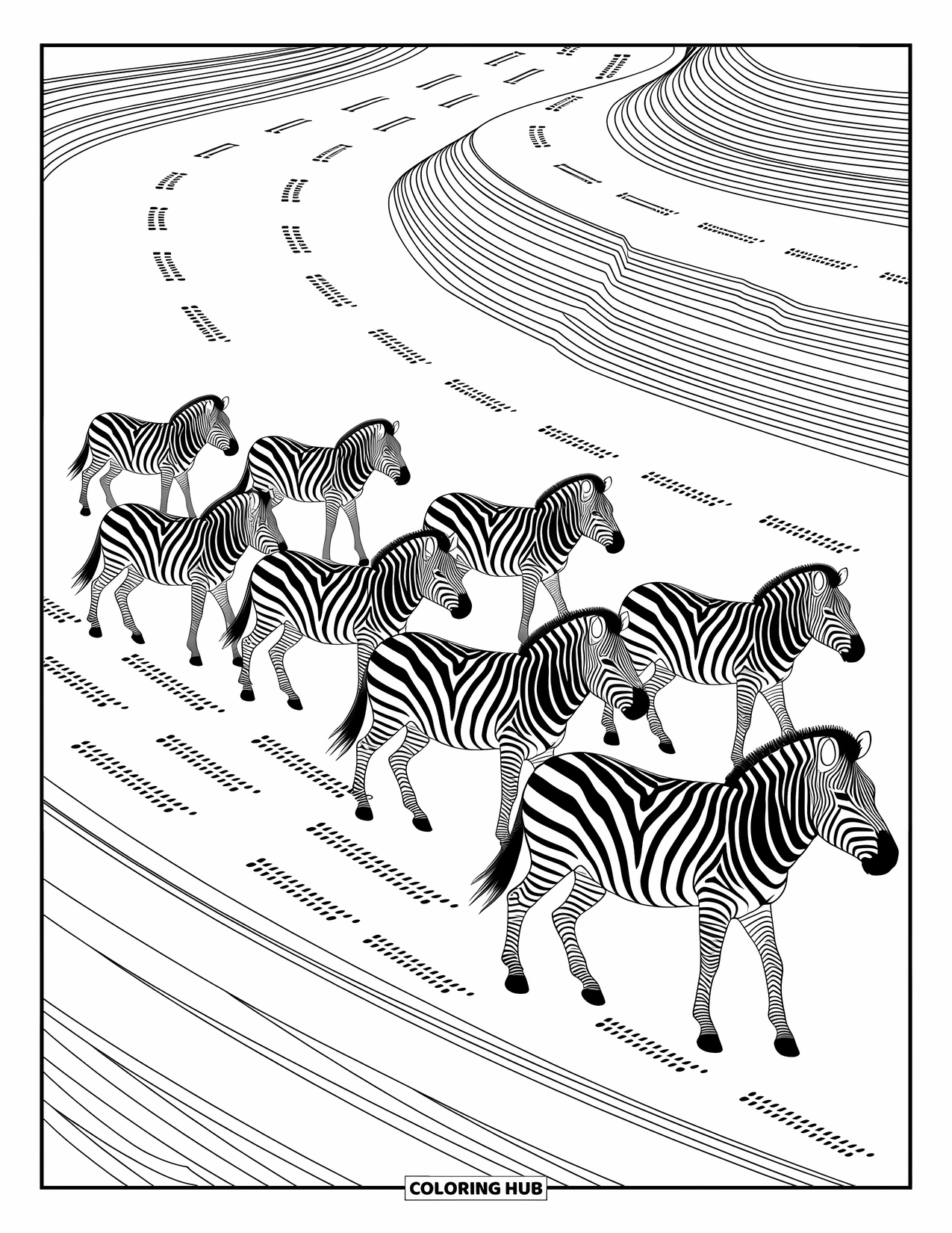 90+ Zebra Coloring Pages for Kids & Adults (Free Printable PDFs)