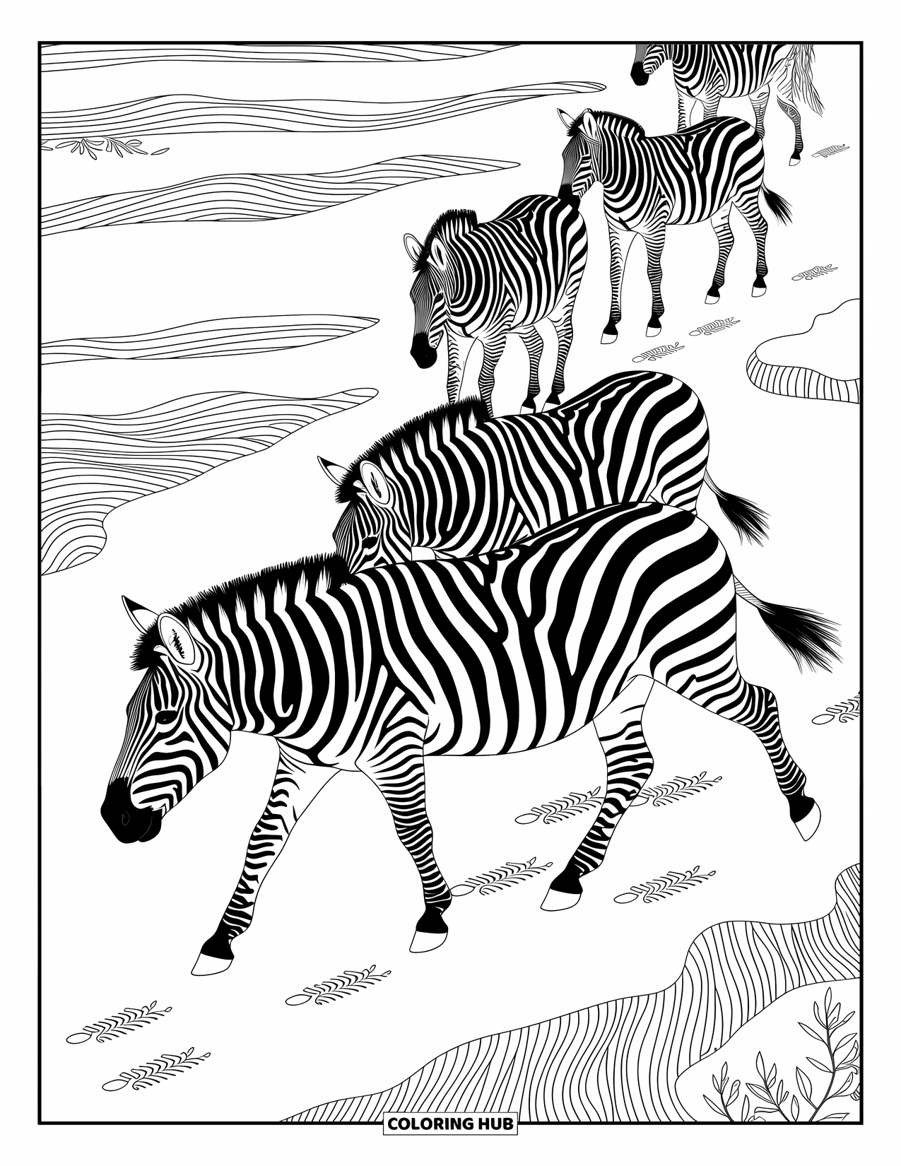 90+ Zebra Coloring Pages for Kids & Adults (Free Printable PDFs)
