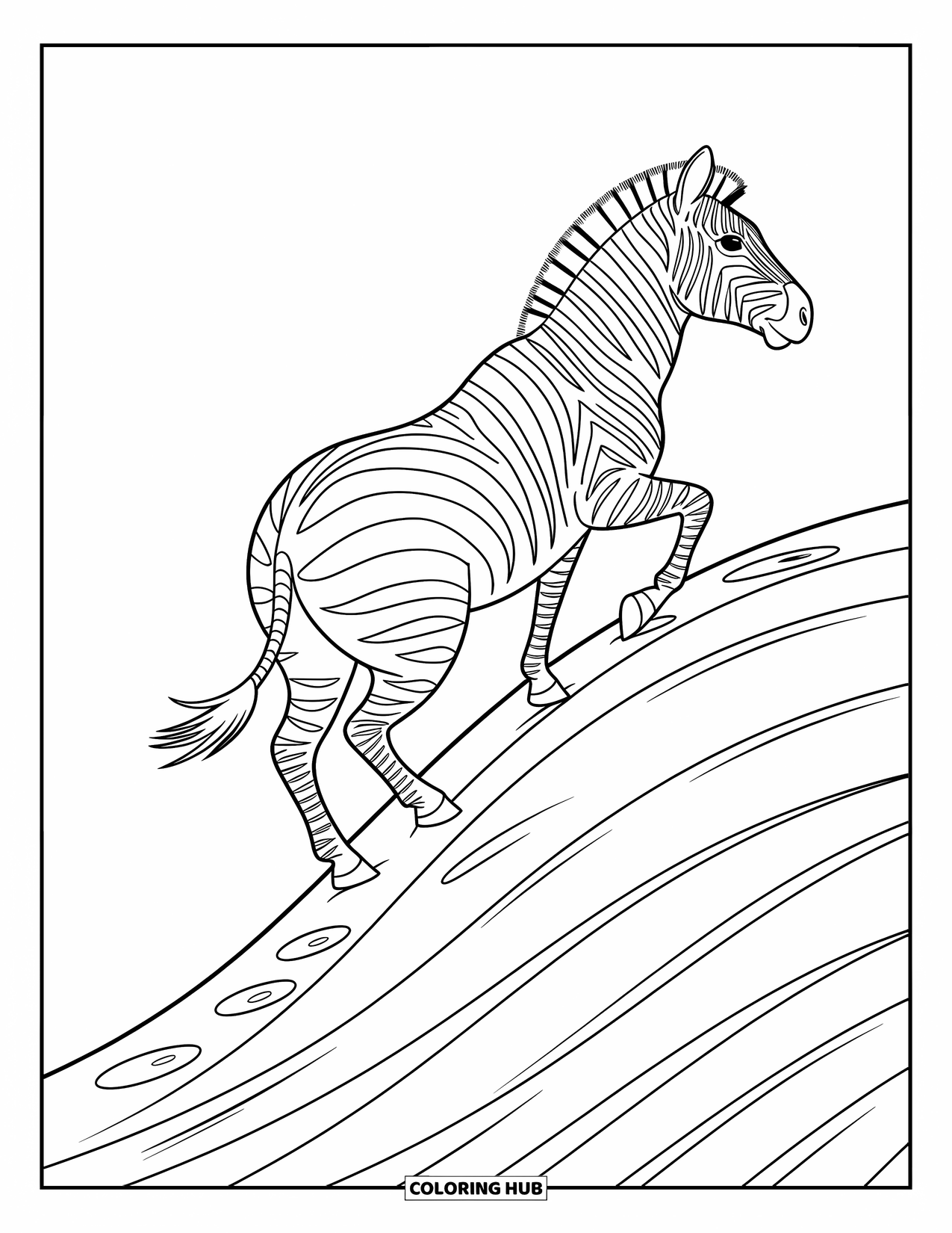 90+ Zebra Coloring Pages for Kids & Adults (Free Printable PDFs)
