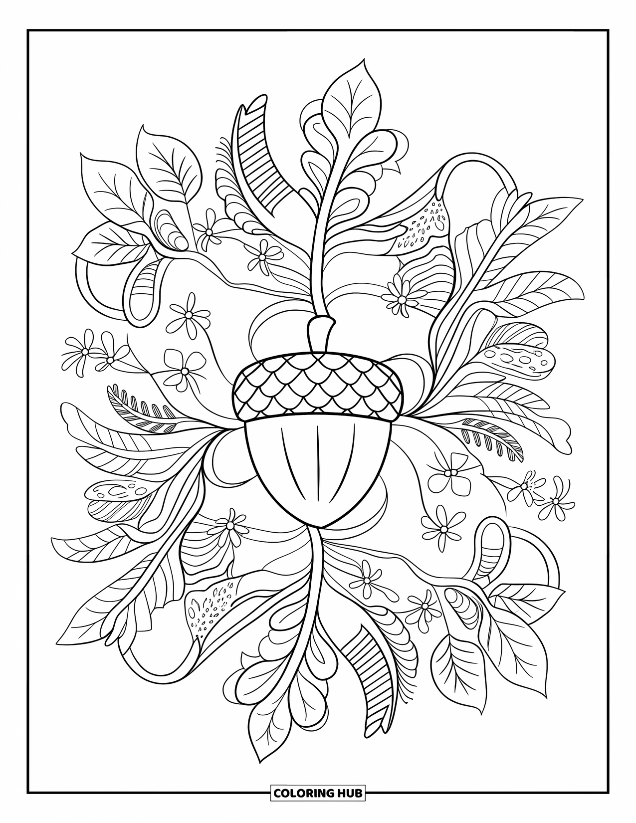 90+ Acorn Coloring Pages for Kids & Adults (Free Printable PDFs)