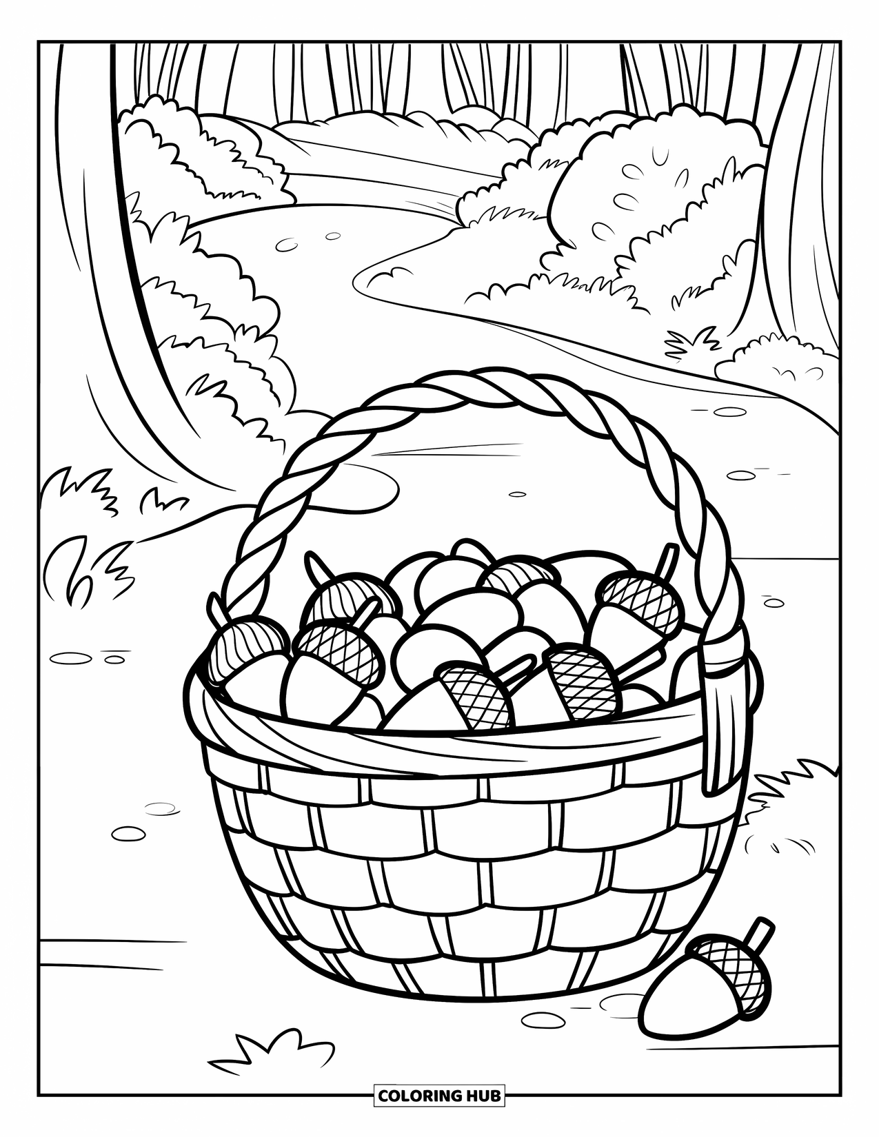 90+ Acorn Coloring Pages for Kids & Adults (Free Printable PDFs)