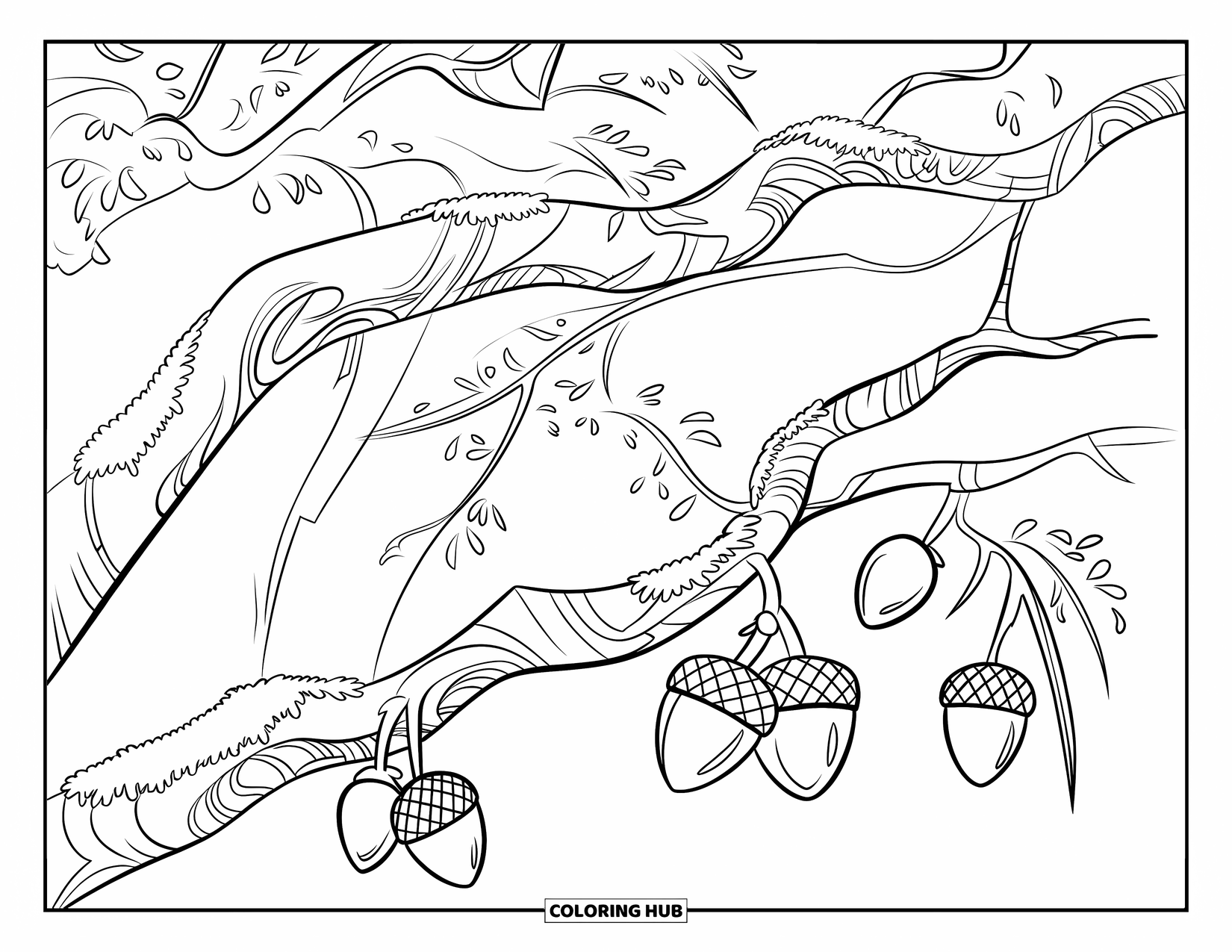 90+ Acorn Coloring Pages for Kids & Adults (Free Printable PDFs)