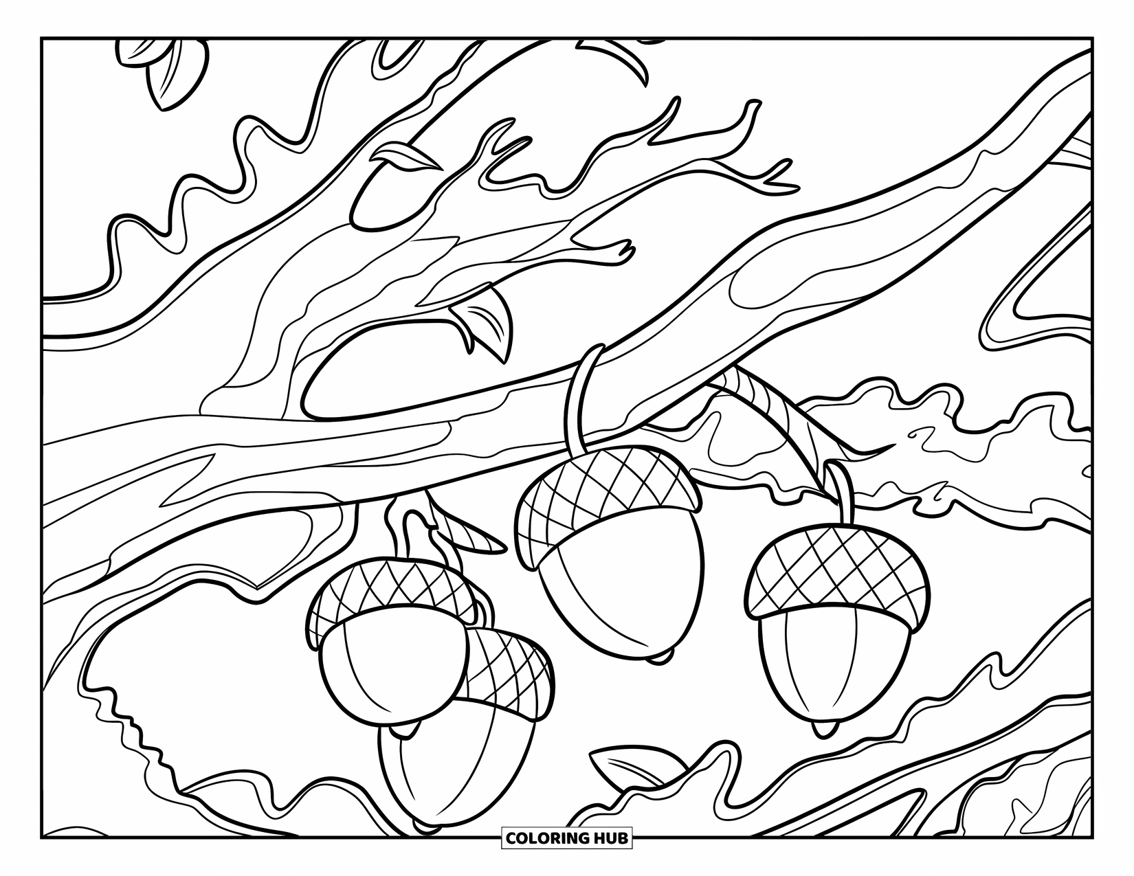 90+ Acorn Coloring Pages for Kids & Adults (Free Printable PDFs)